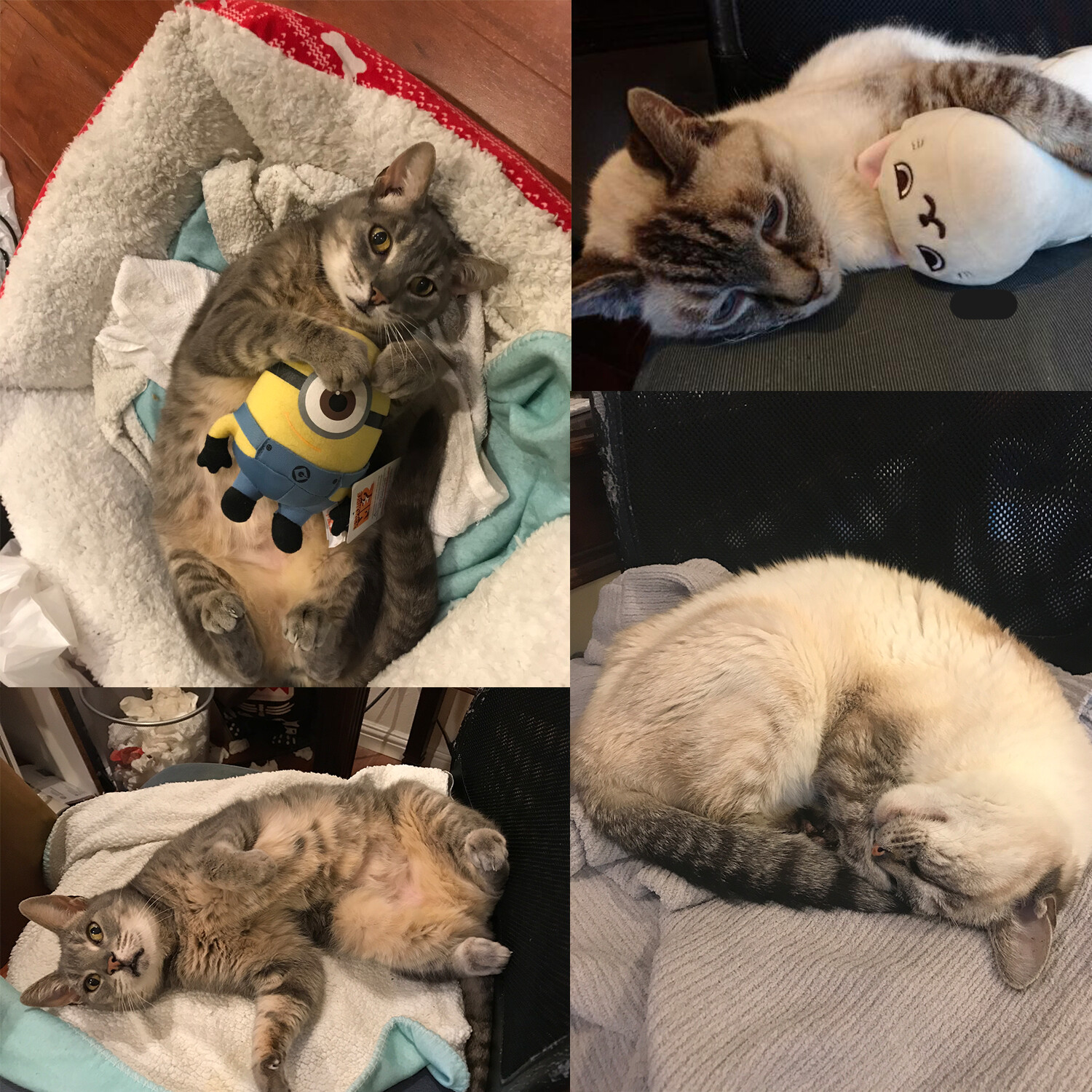 Allan Huang Sr. 3D Environment Artist - Cat Shrine - Stylized ...