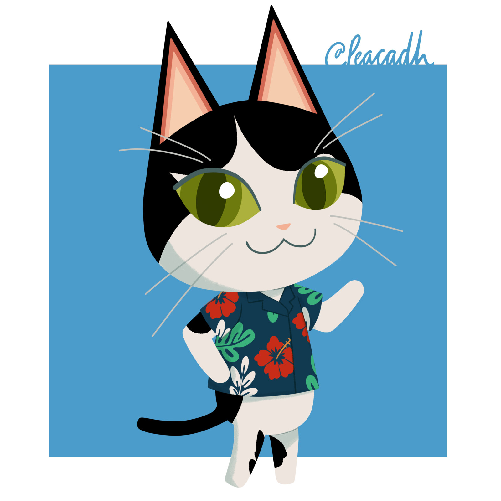 Amy Conlon - Summer 2020 Commissions