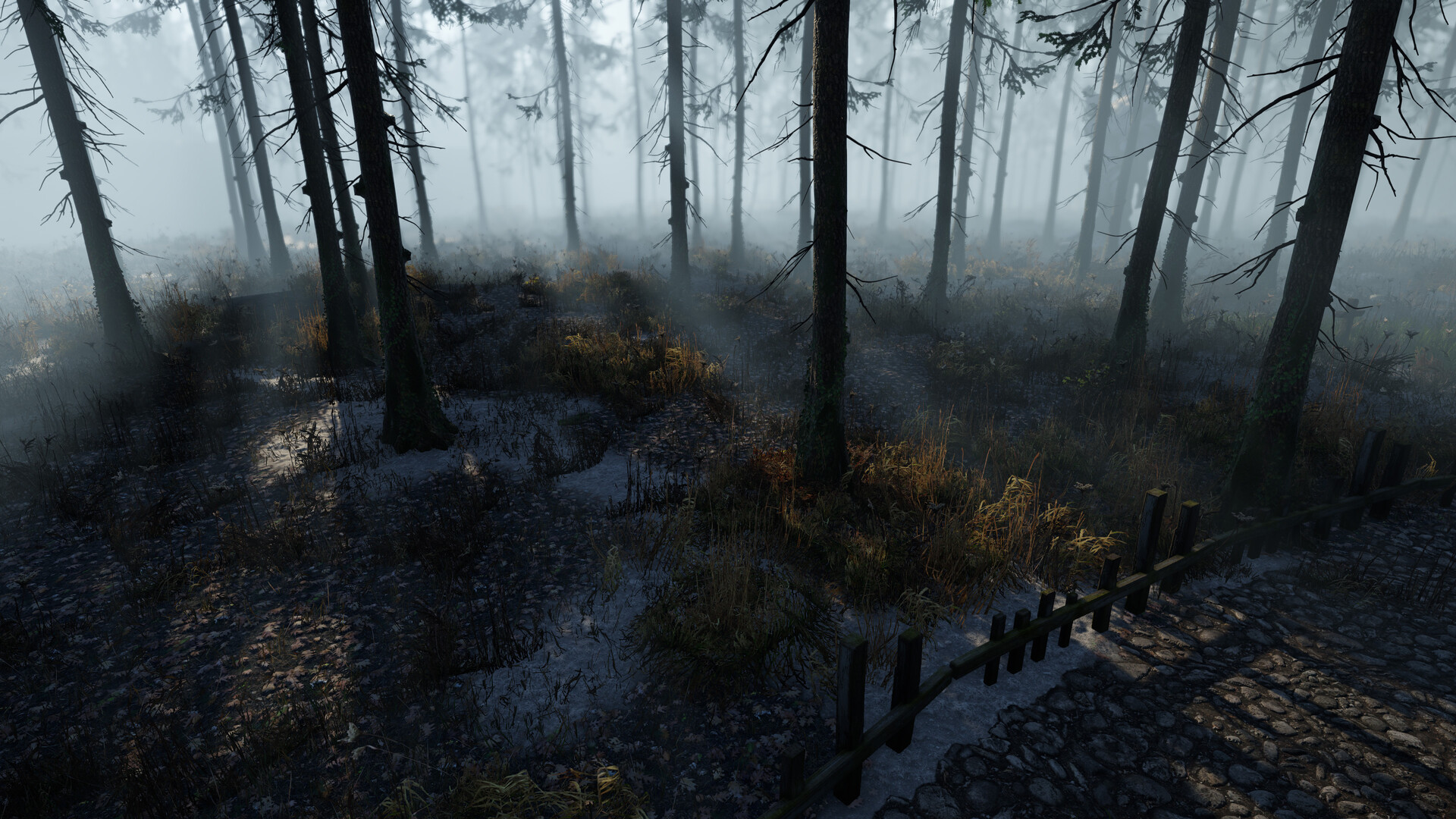 ArtStation - Lonely forest