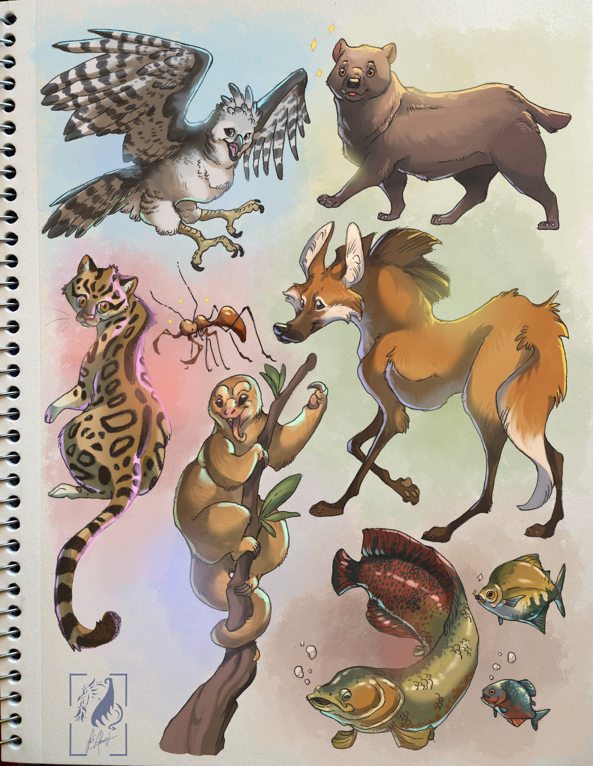 Fernanda Adami - Animal Sketchbook