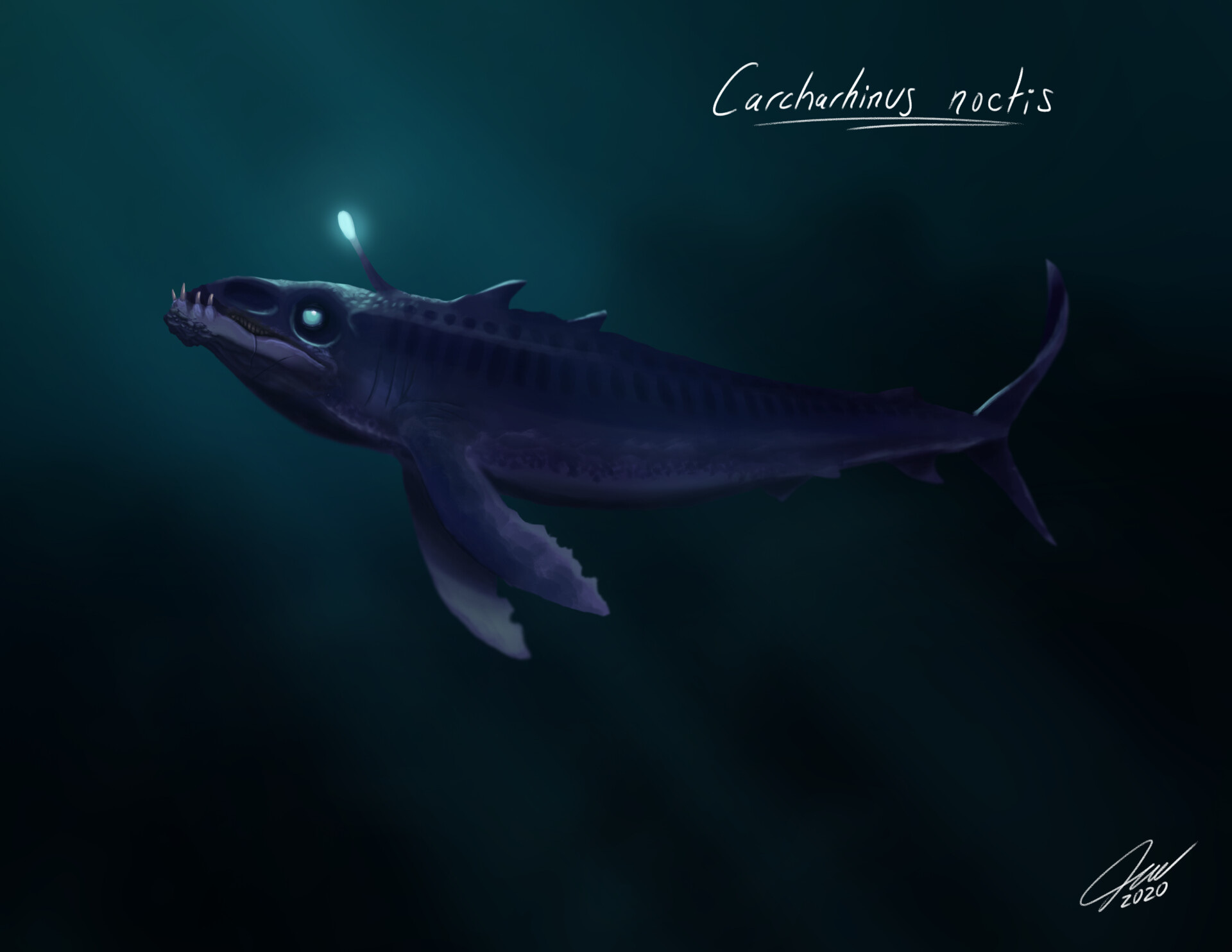 ArtStation - Alien Shark