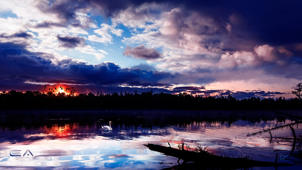 ArtStation - Swan lake