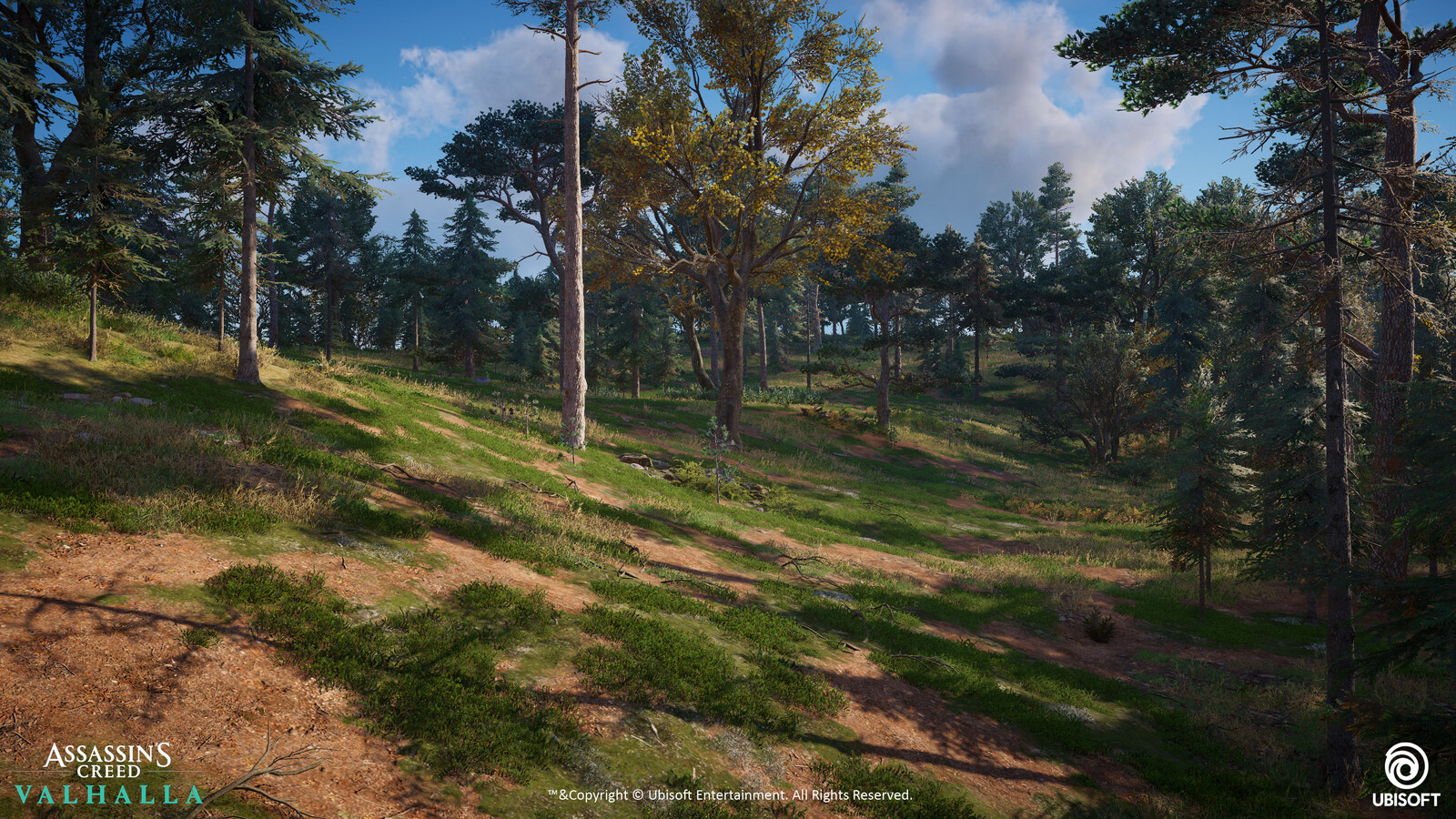 Georgi Hristov - Assassin's Creed Valhalla: Generic Forest and ...
