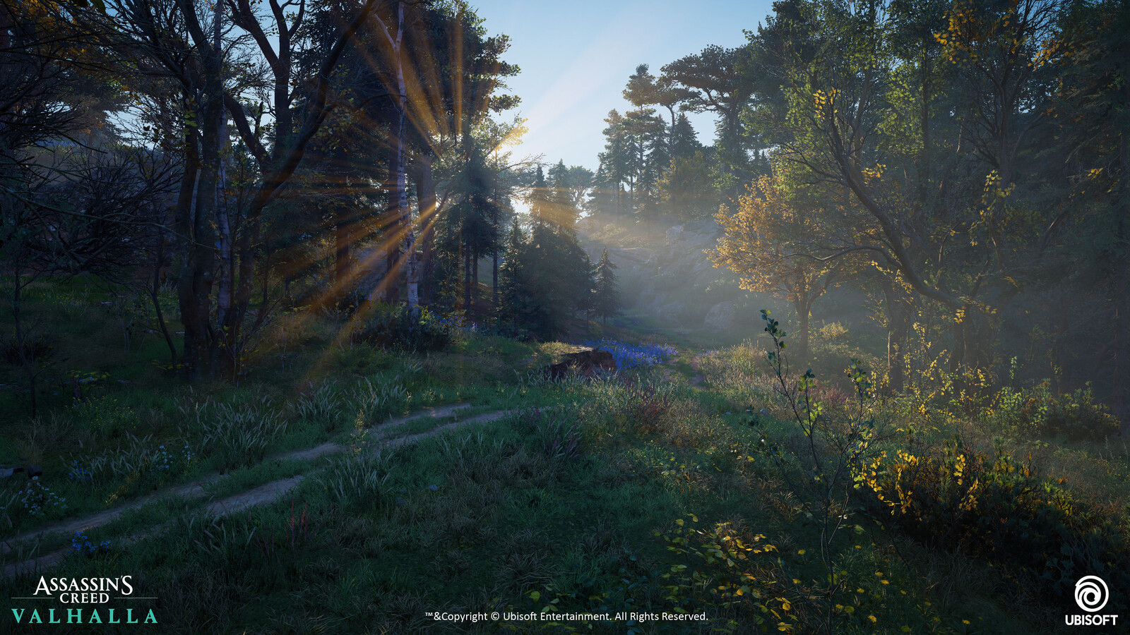 Georgi Hristov - Assassin's Creed Valhalla: Generic Forest and ...