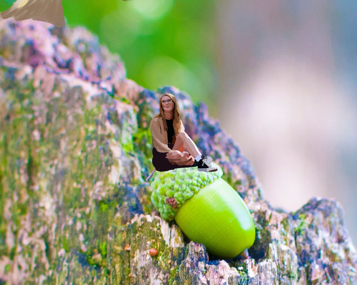 Mergers In Photography