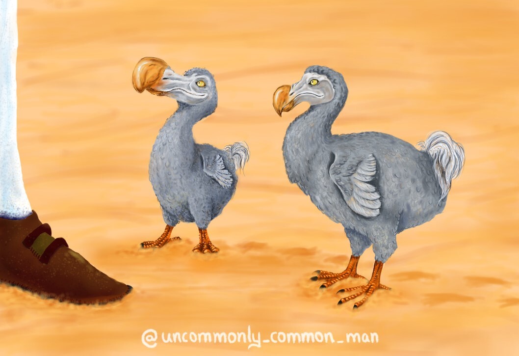 ArtStation - Dodos