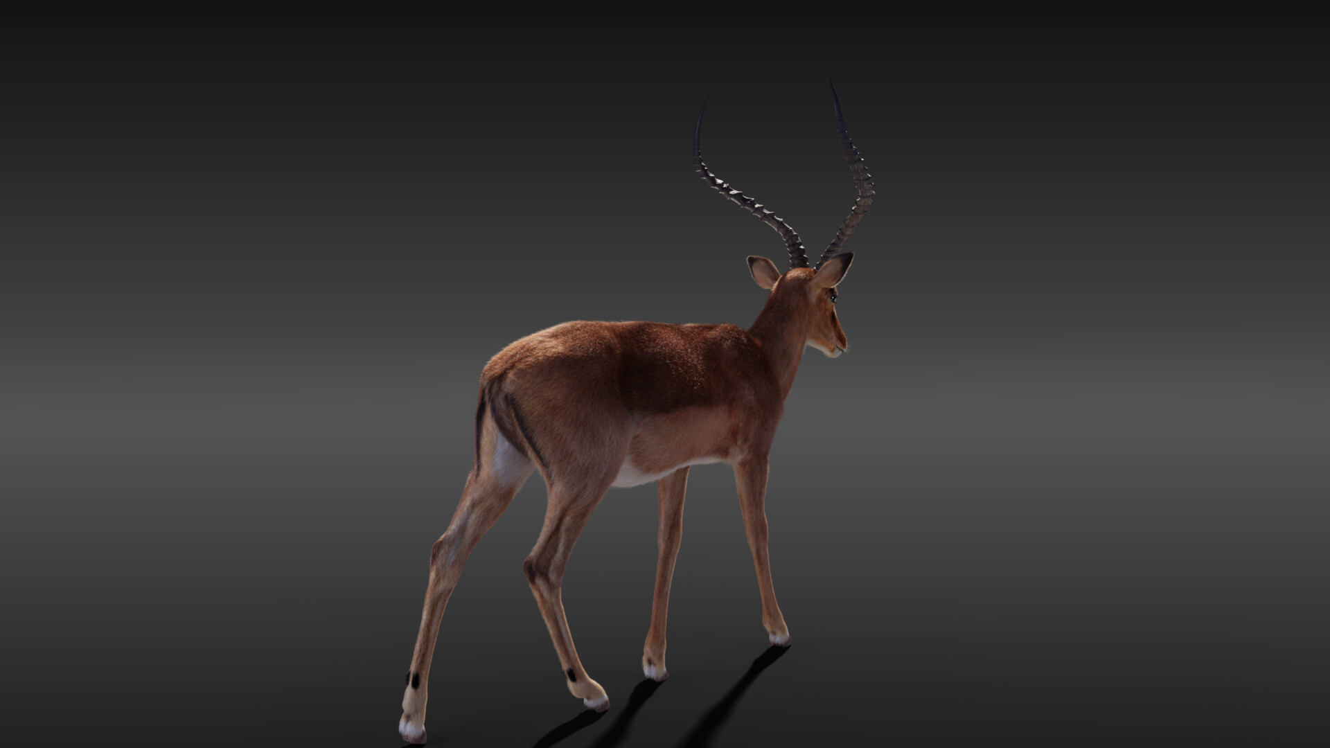 VFX models - Impala