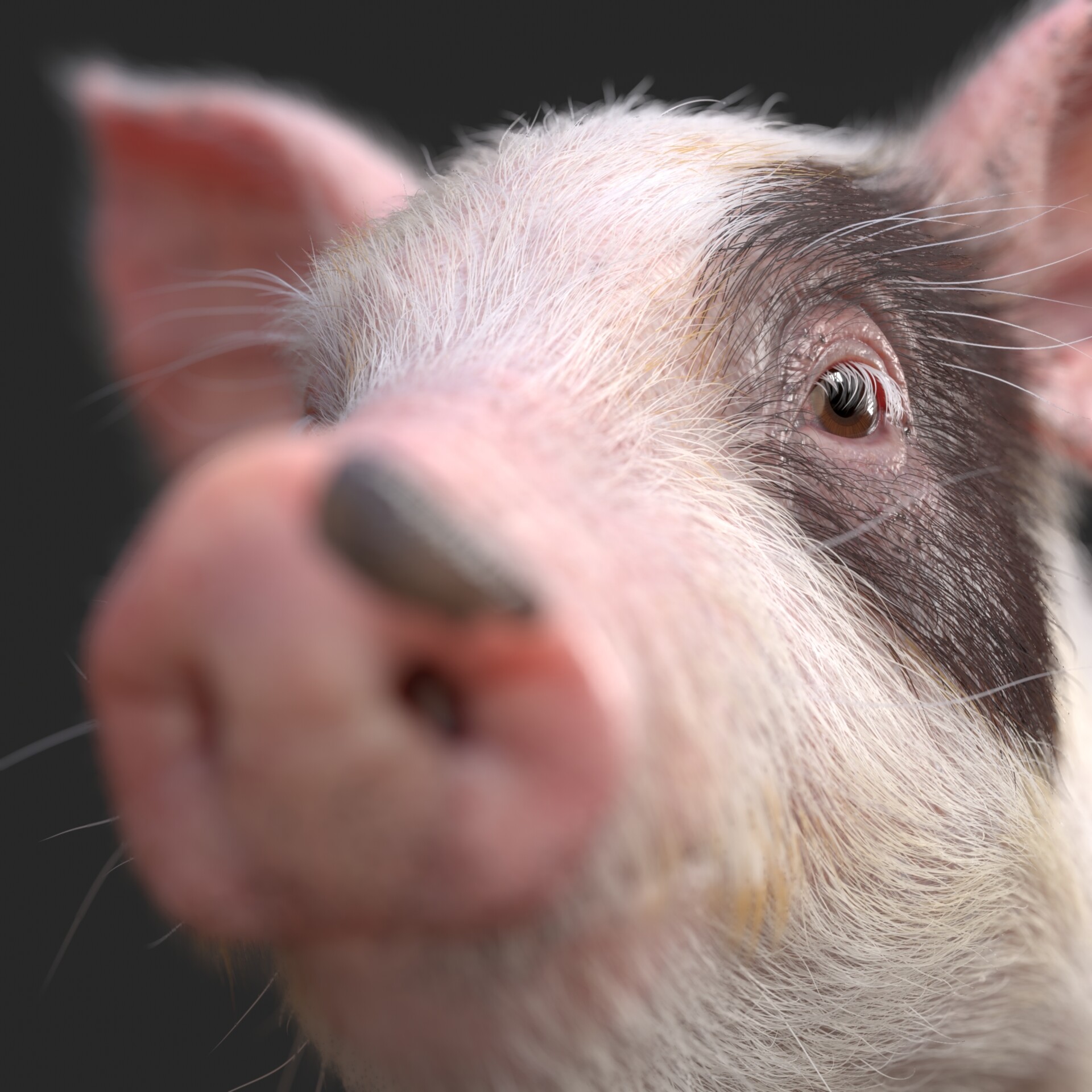 ArtStation - Photo-realistic CG Animal Production Process (tutorial)