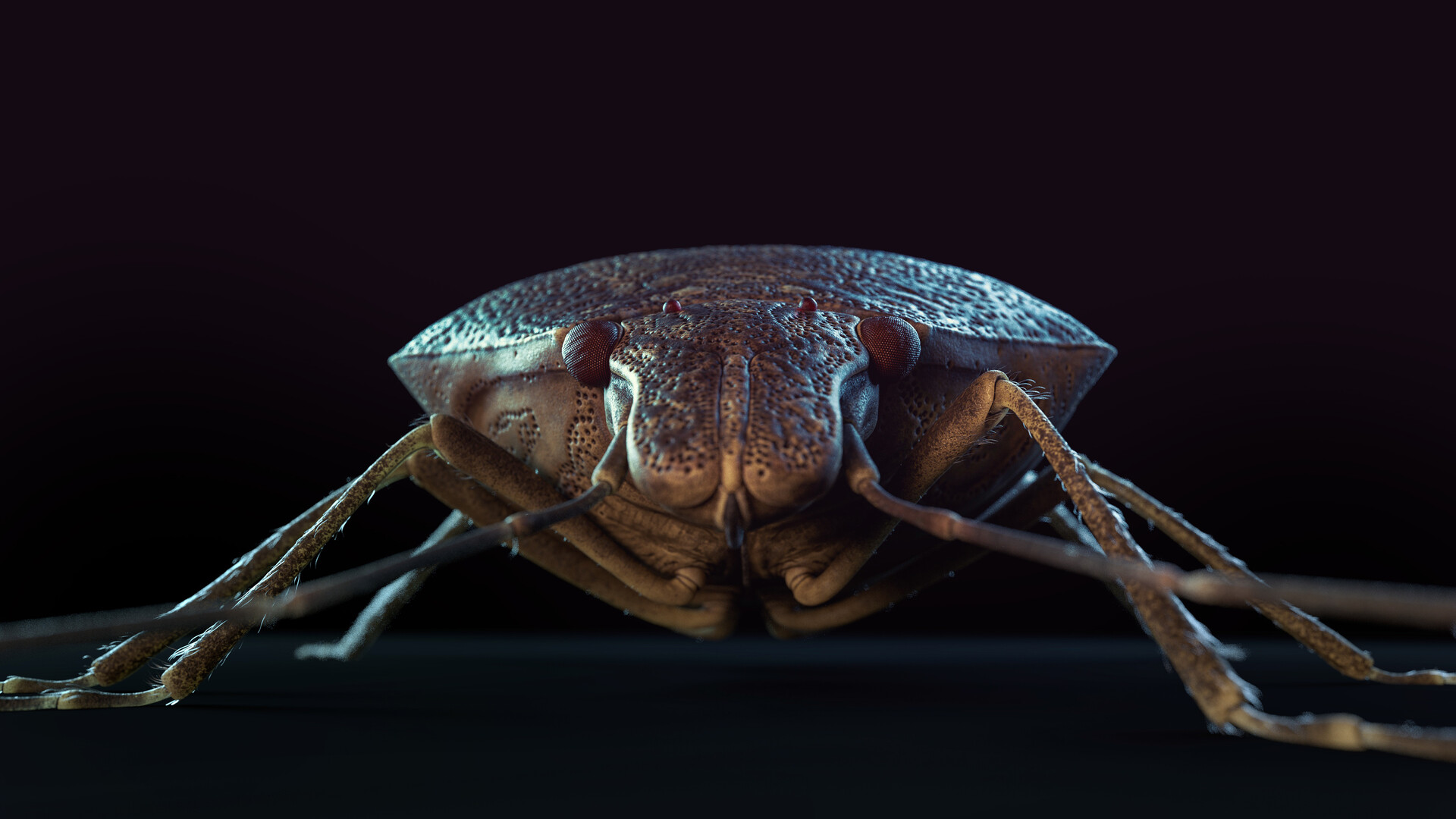 ArtStation - Stink bug