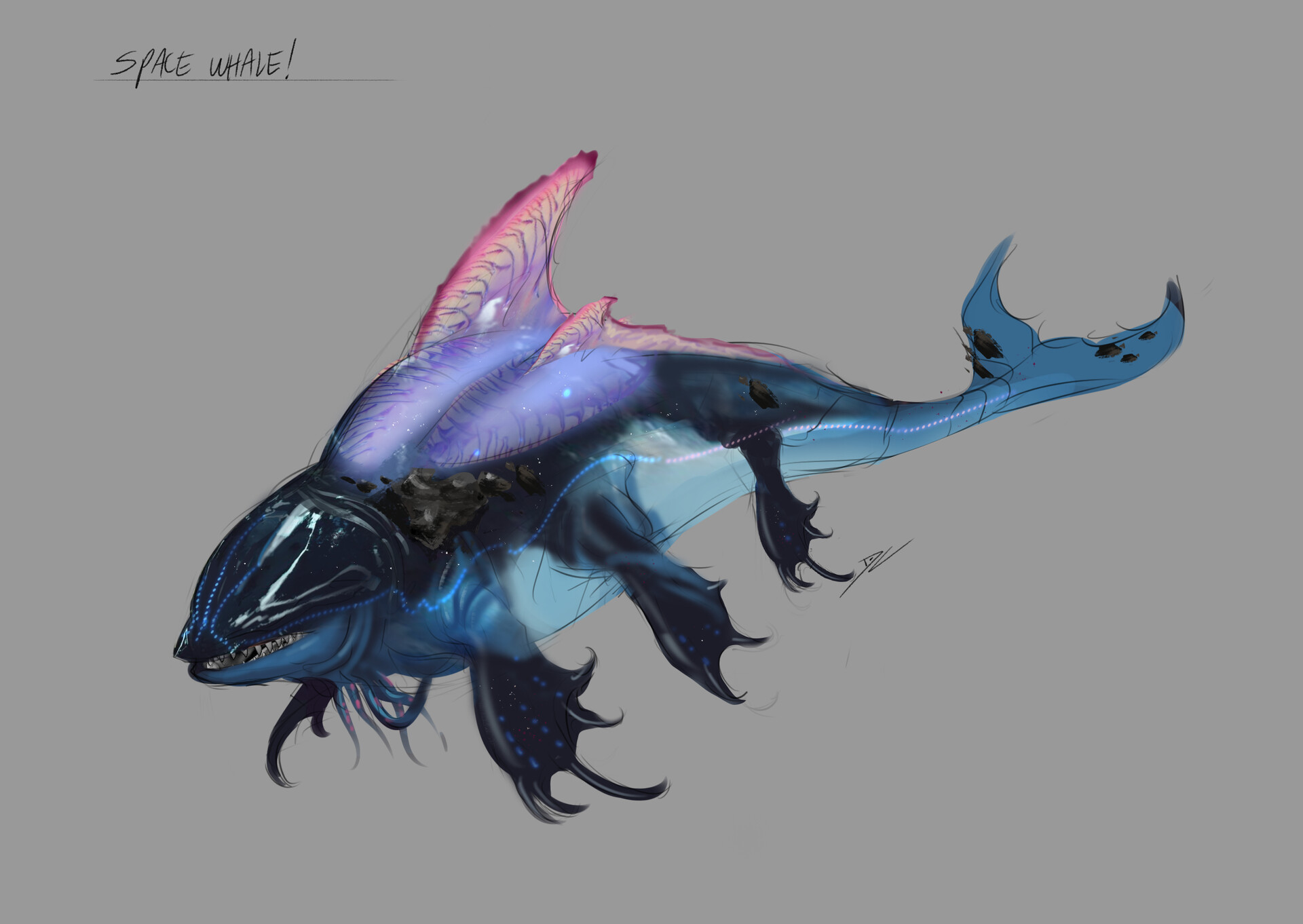 4th dimensional space whale