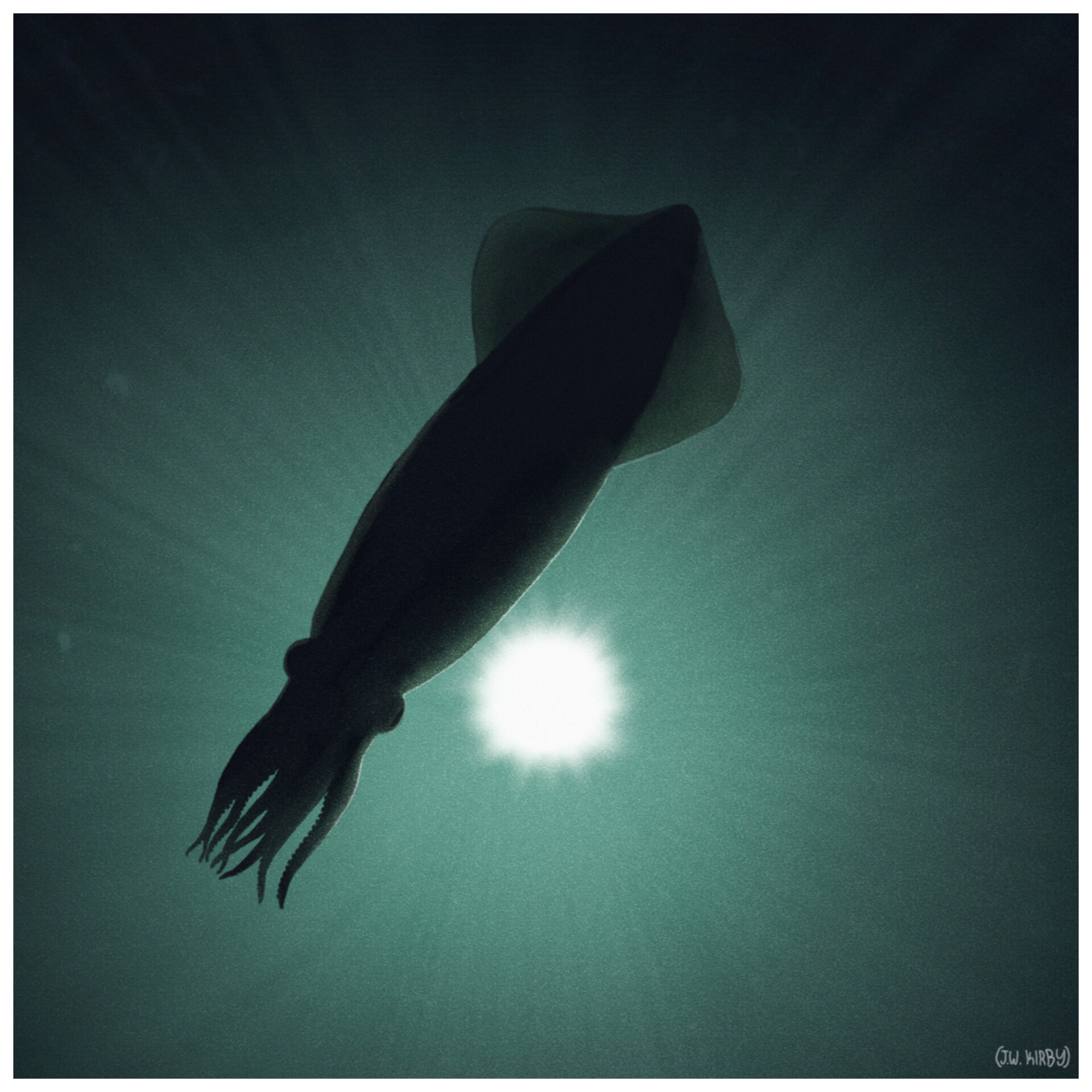 ArtStation - Enchoteuthis melanae