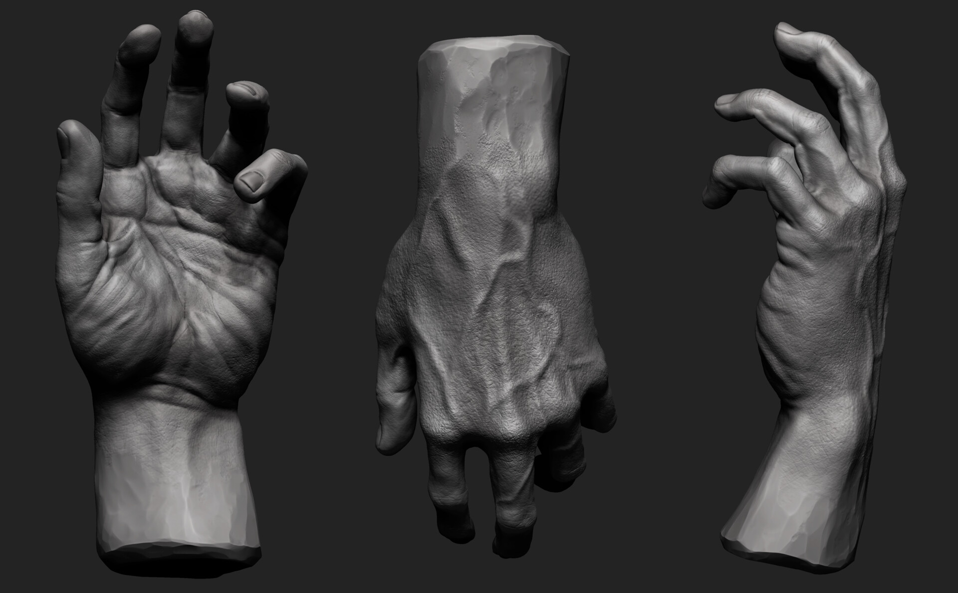 ArtStation - Anatomical study of the hand.