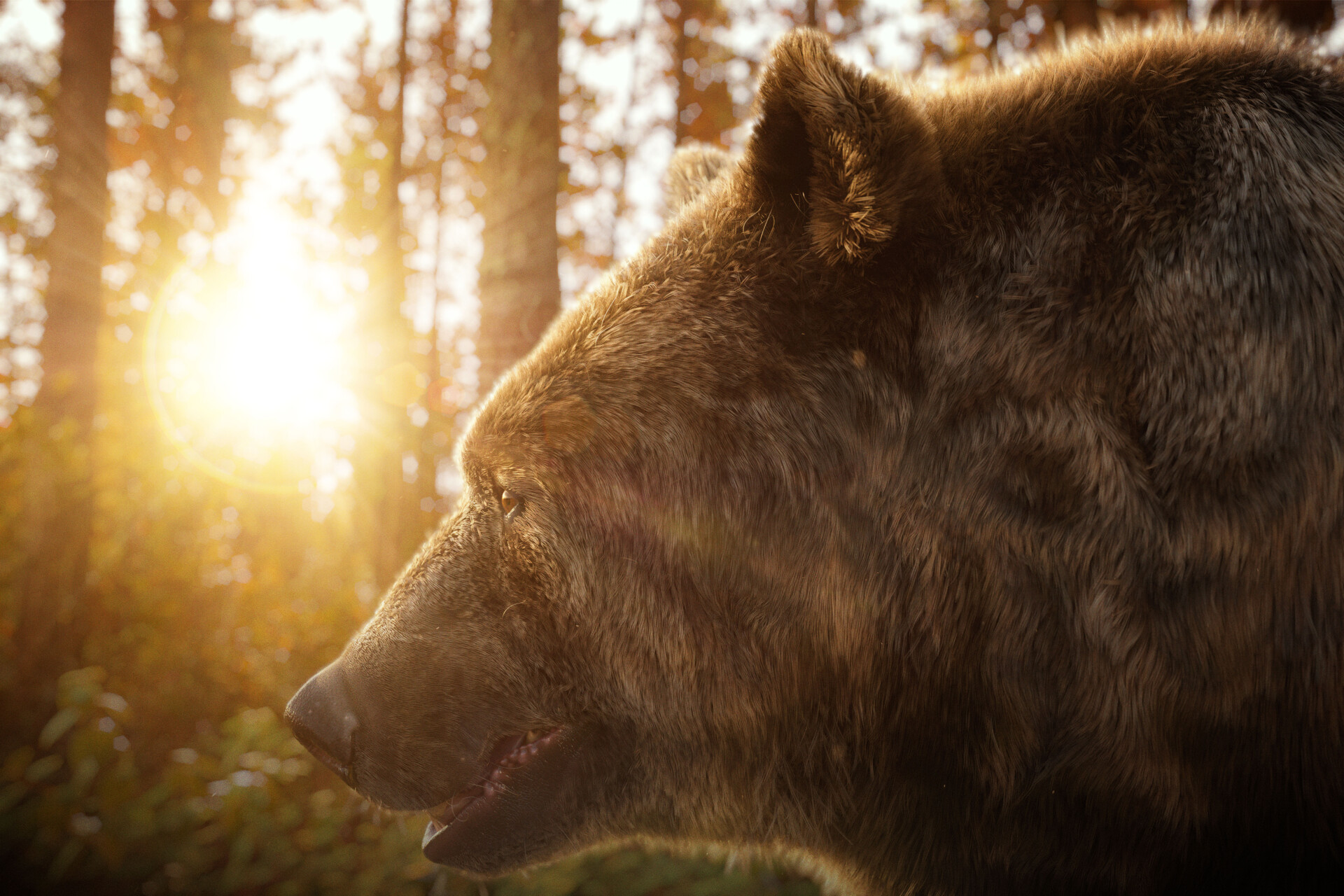 ArtStation - CGI Bear Print