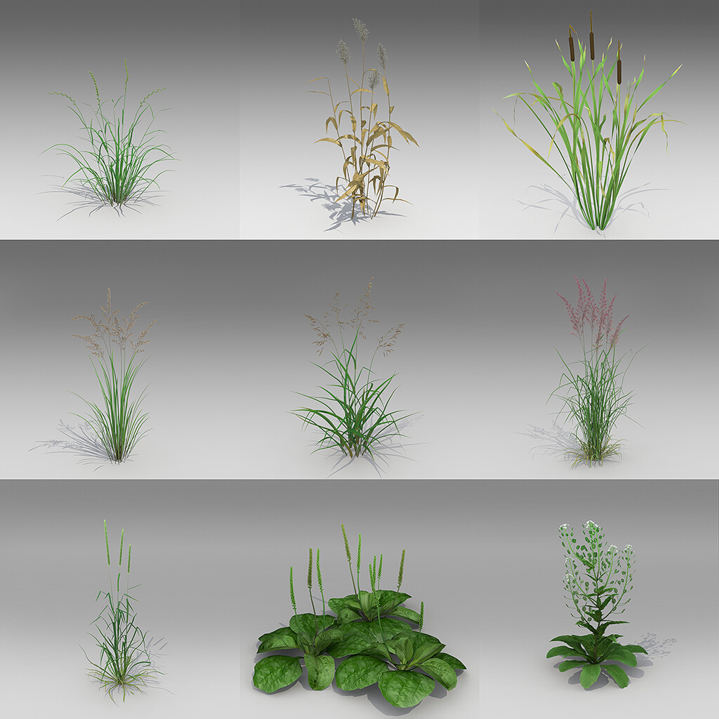 ArtStation - Grass_Pack_01