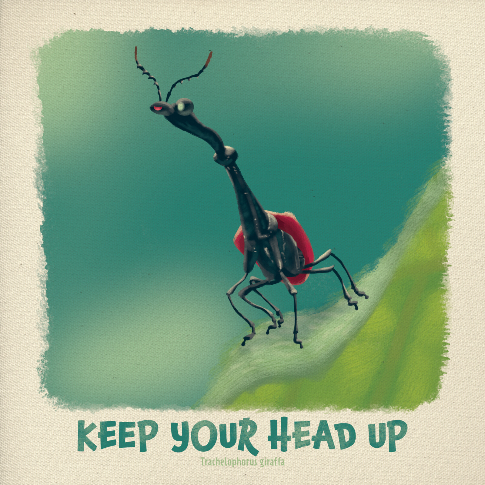 Daniel Beckwith - Tiny Wilderness