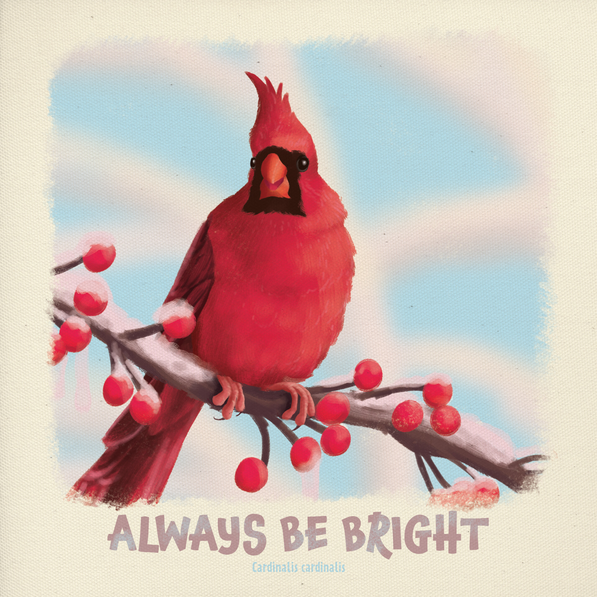 Daniel Beckwith - Tiny Wilderness