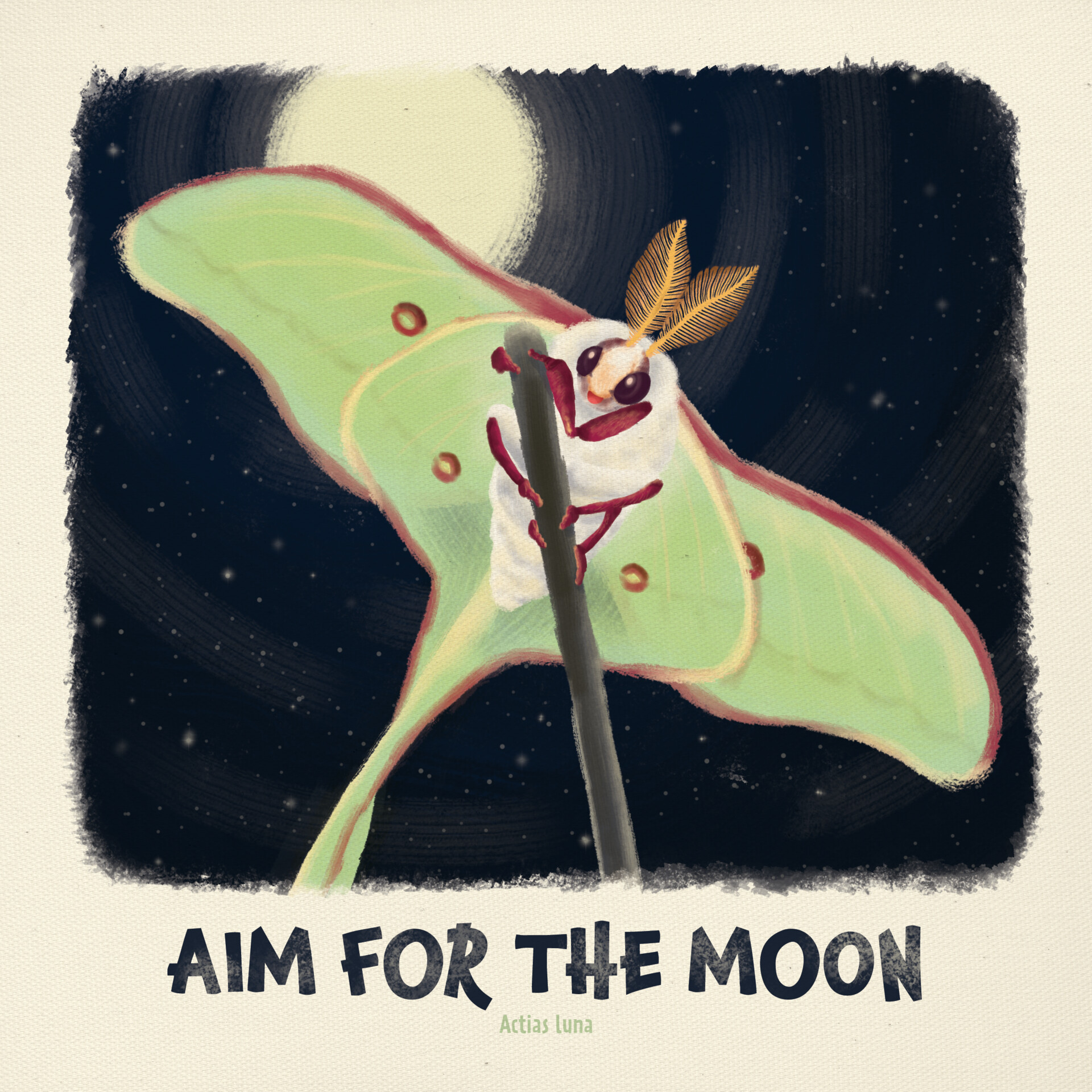 Daniel Beckwith - Tiny Wilderness