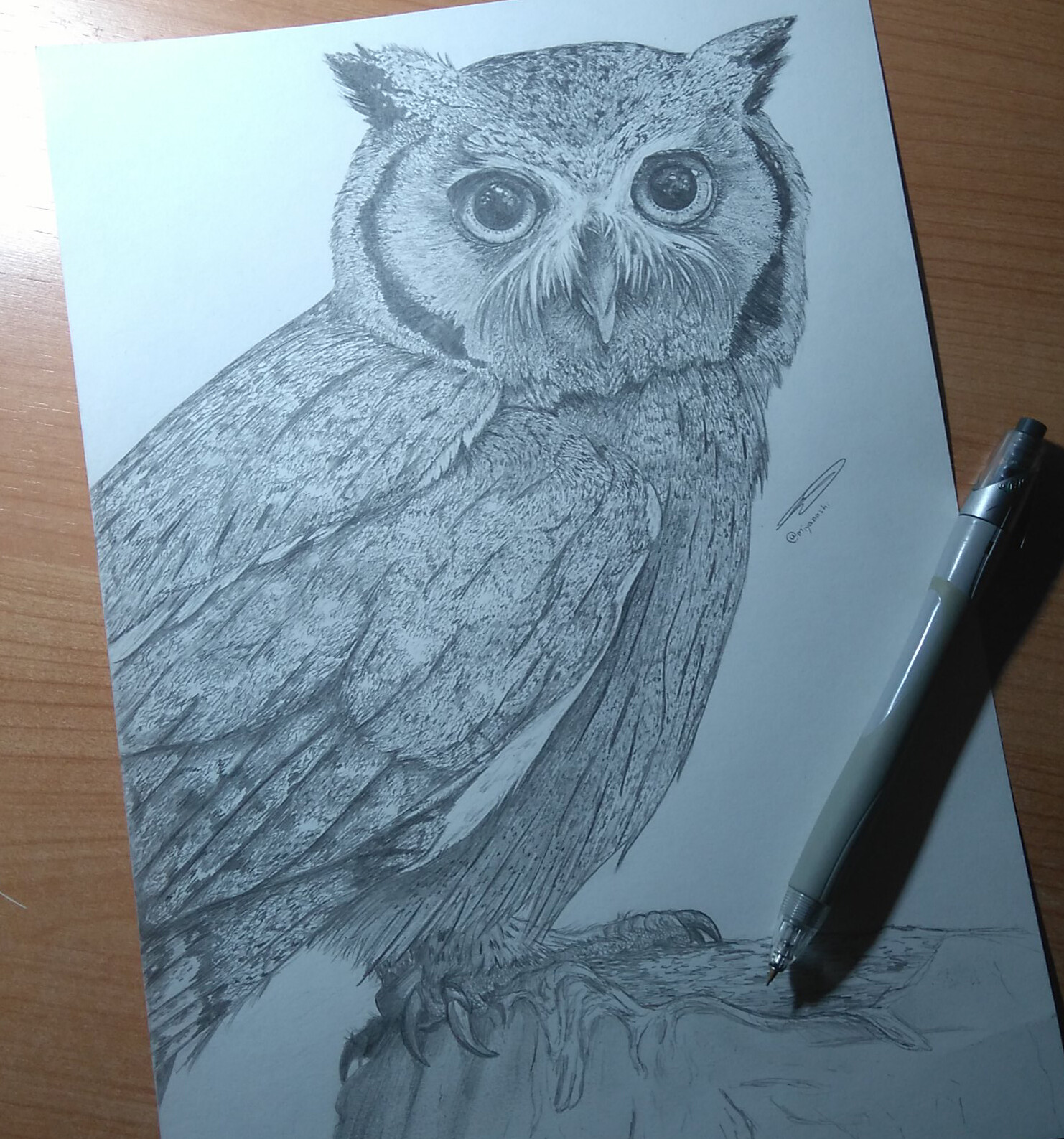 how to draw owl by pencil
