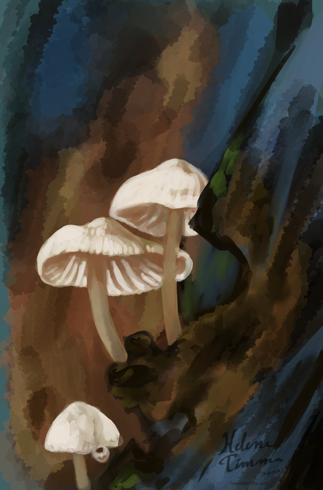 ArtStation - Mushroom Study