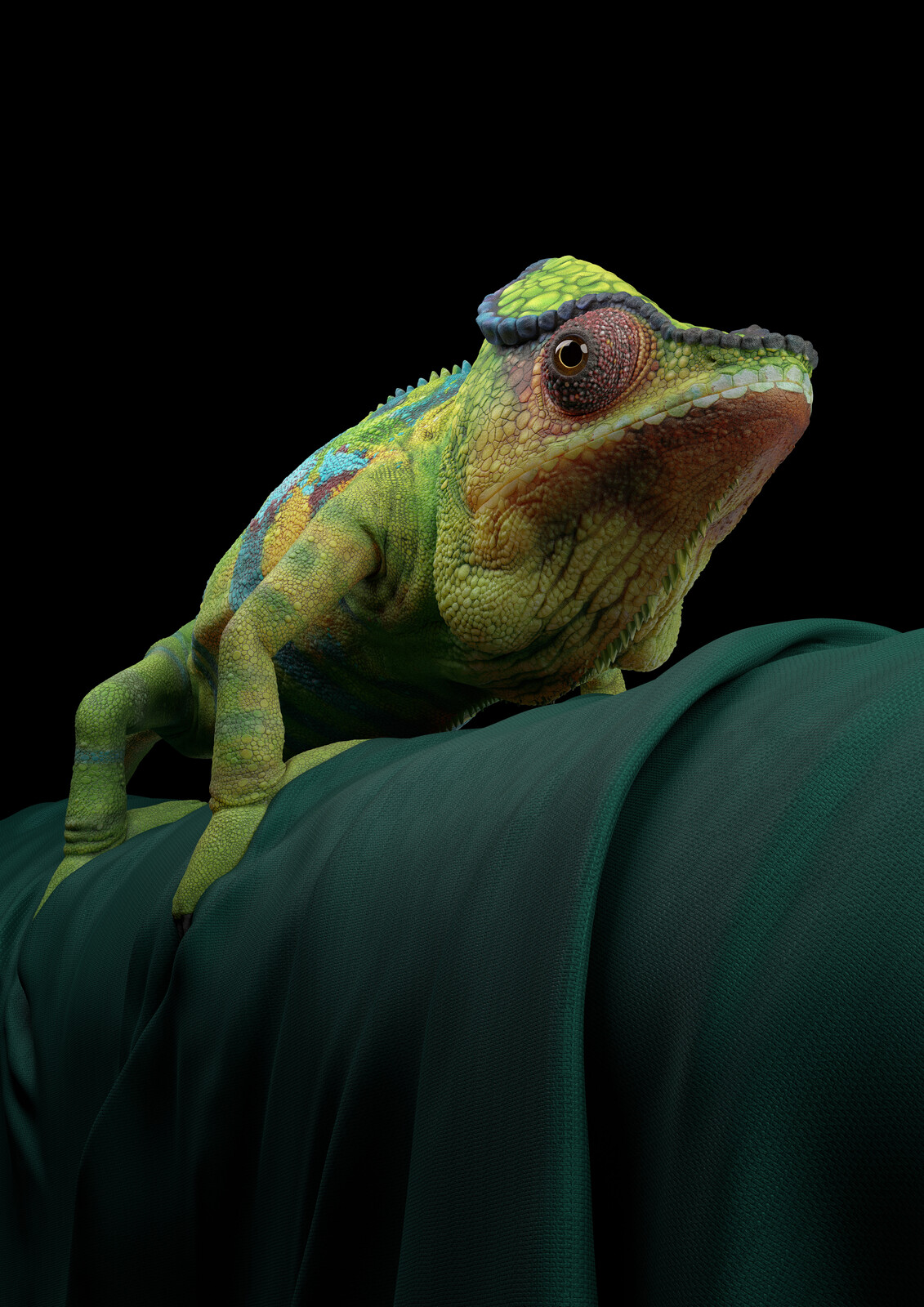 Ken Matsui - George The Chameleon VFX