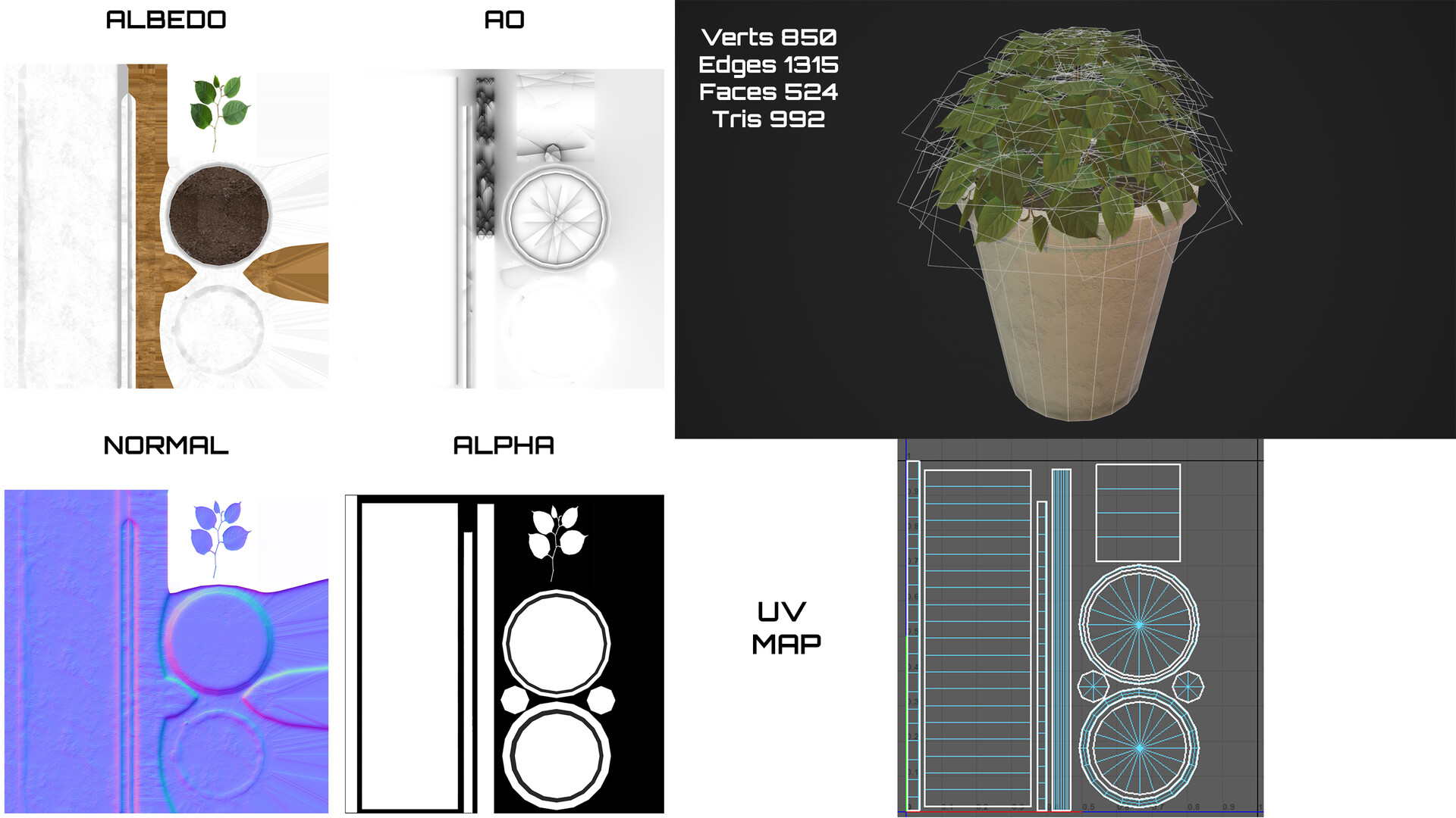 Thomas Hopkinson - Indoor Plant