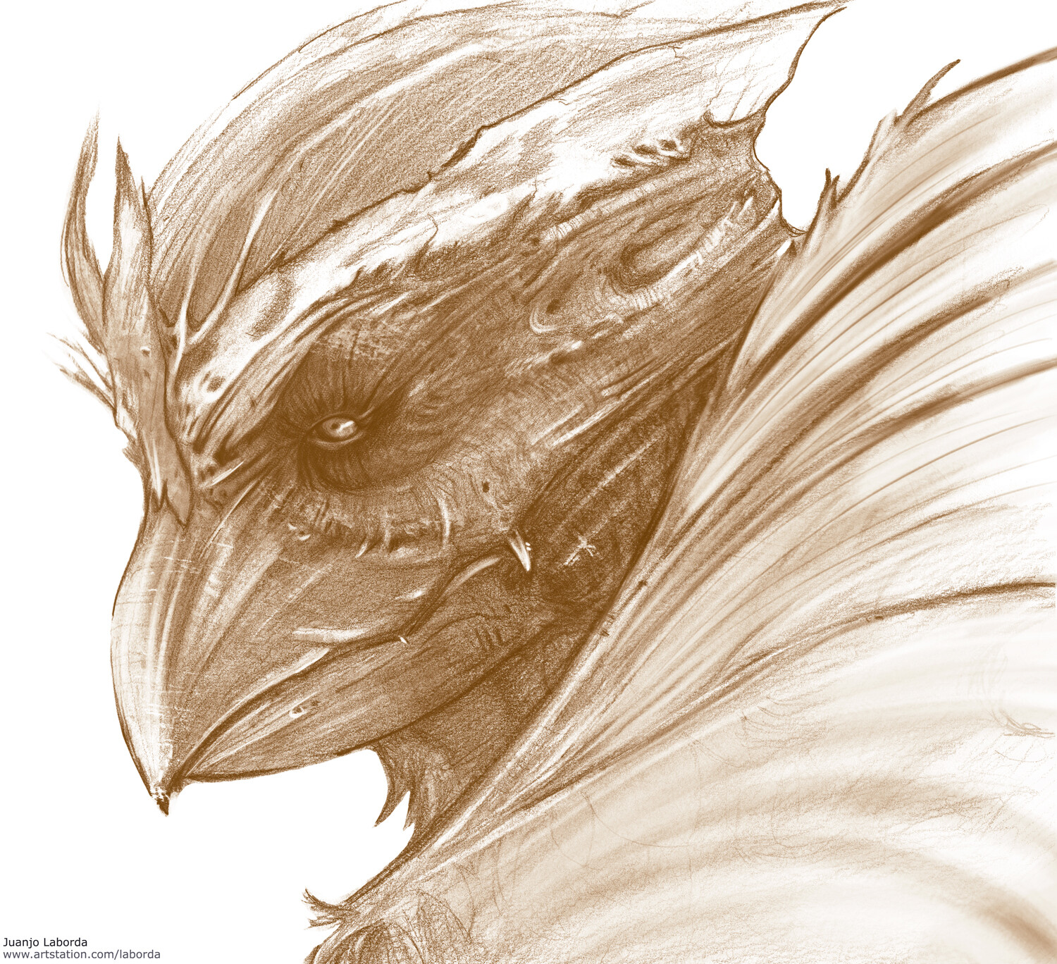 ArtStation - Stromcrow