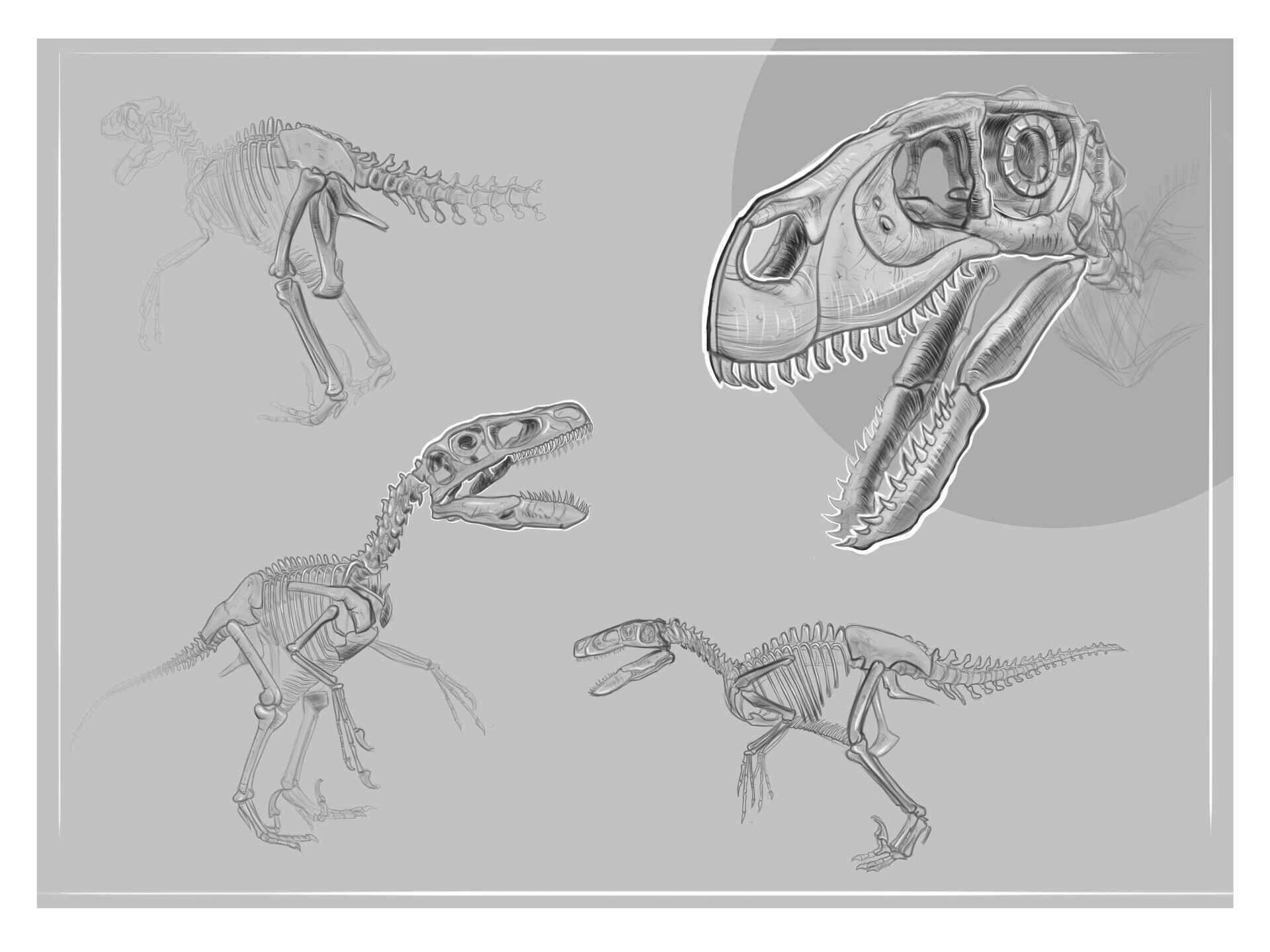 ArtStation - Dinosaur Skeletal Structure