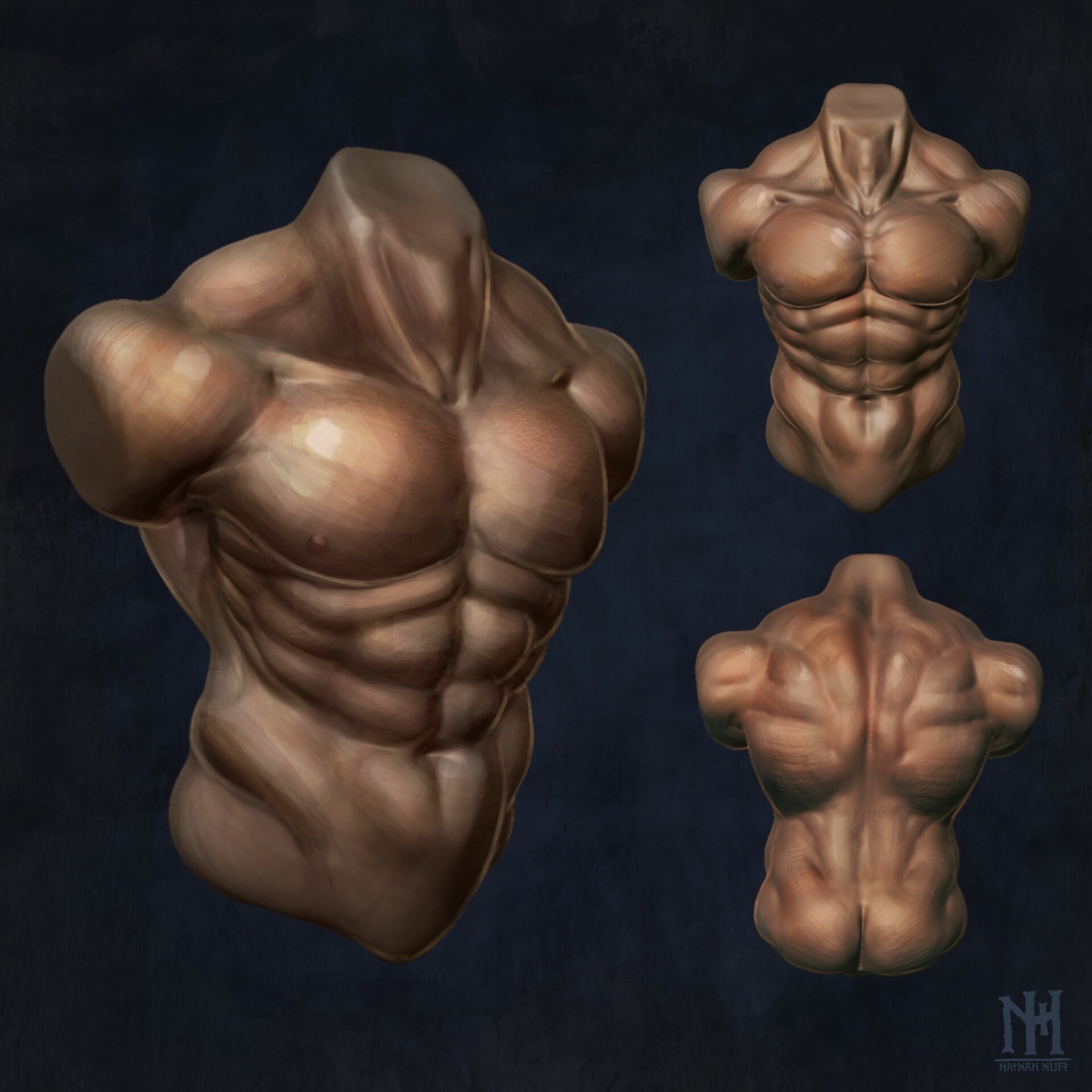 ArtStation - Torso Study