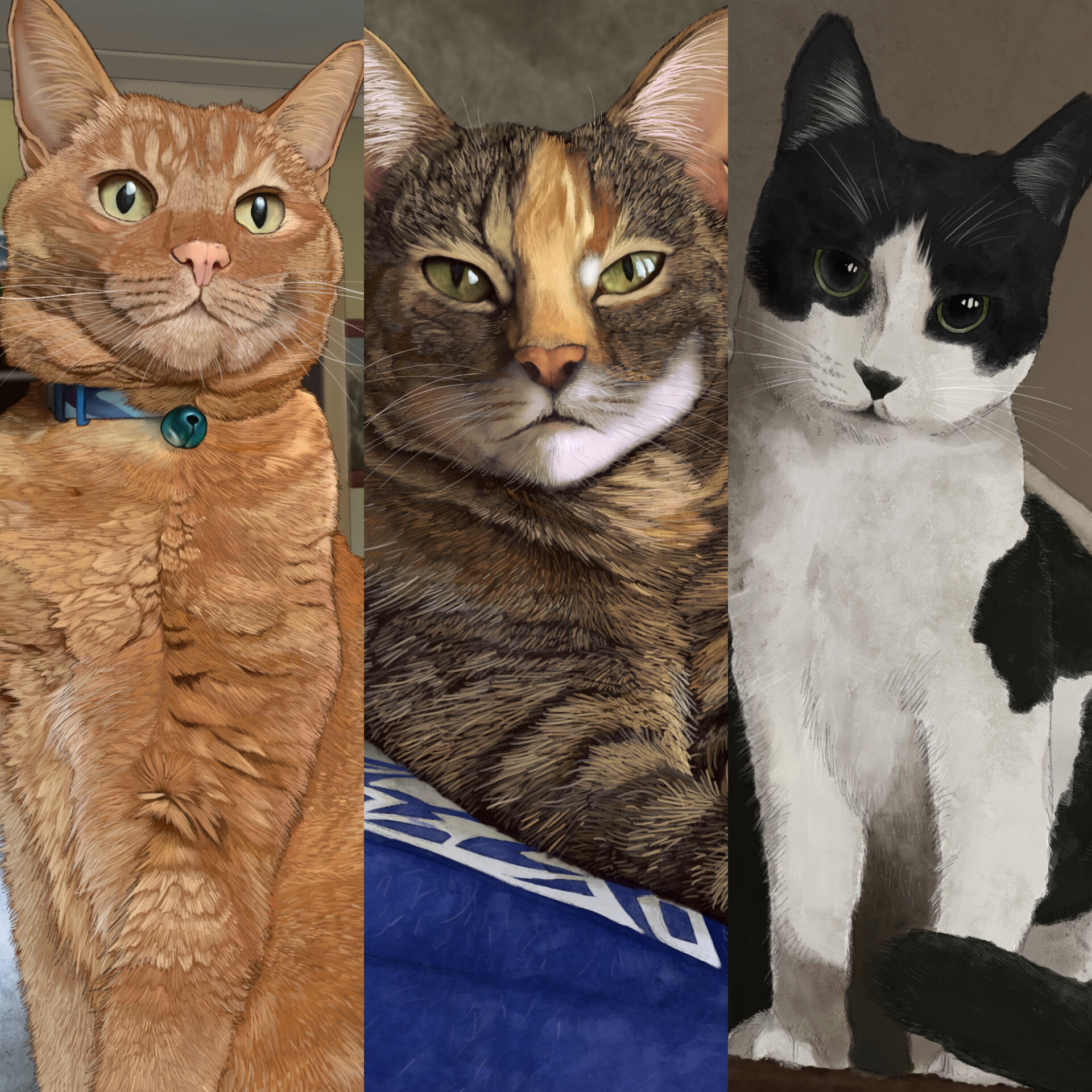 ArtStation - Cat Studies/Pet Comissions