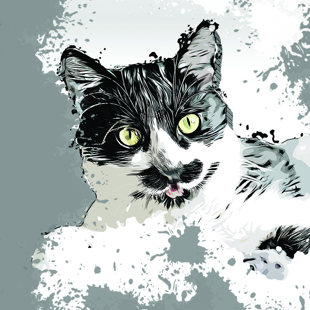 ArtStation - Tuxedo Mixdome Cat