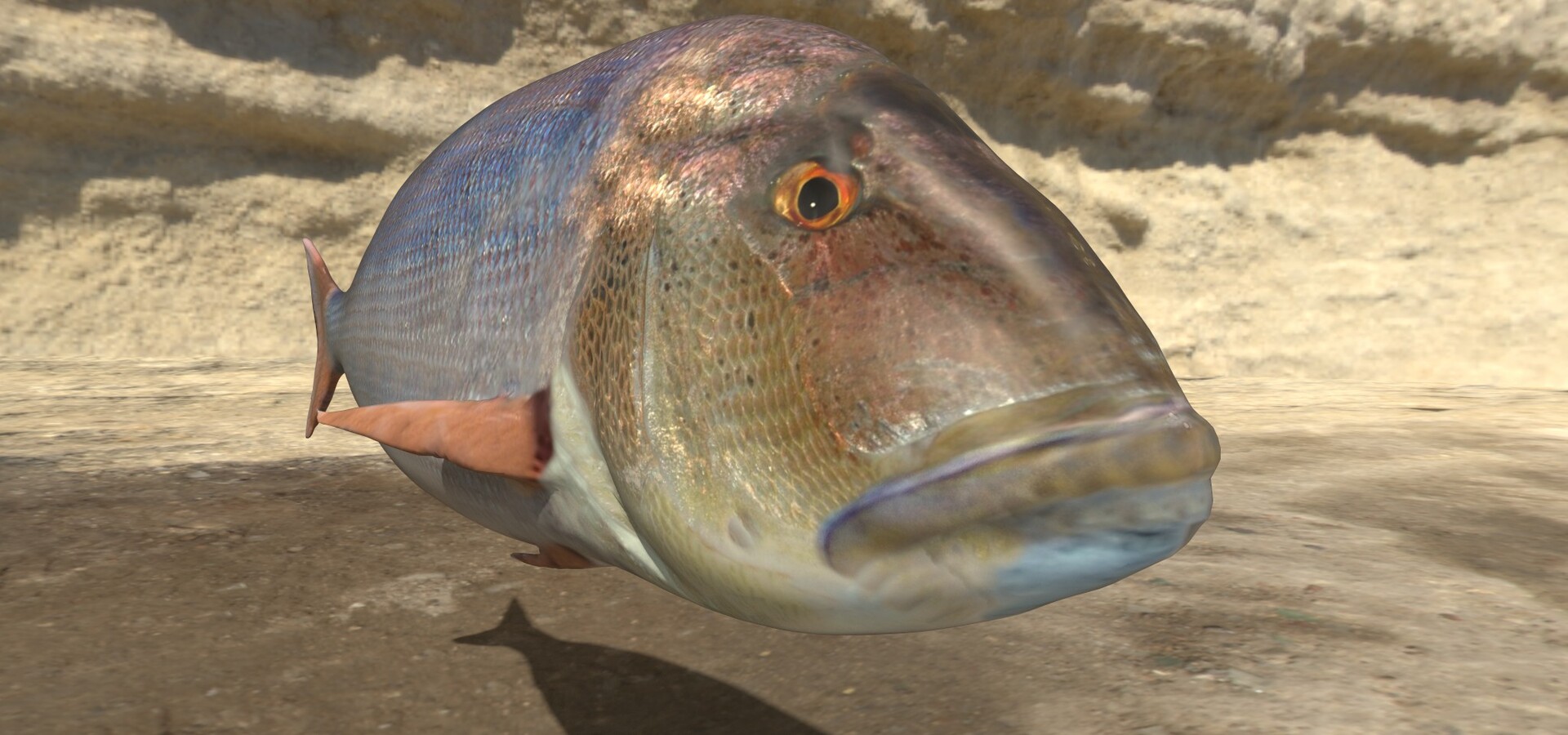 GQPolygons - Snapper Photorealistic sea fish 3D Model Rigged Animated ...