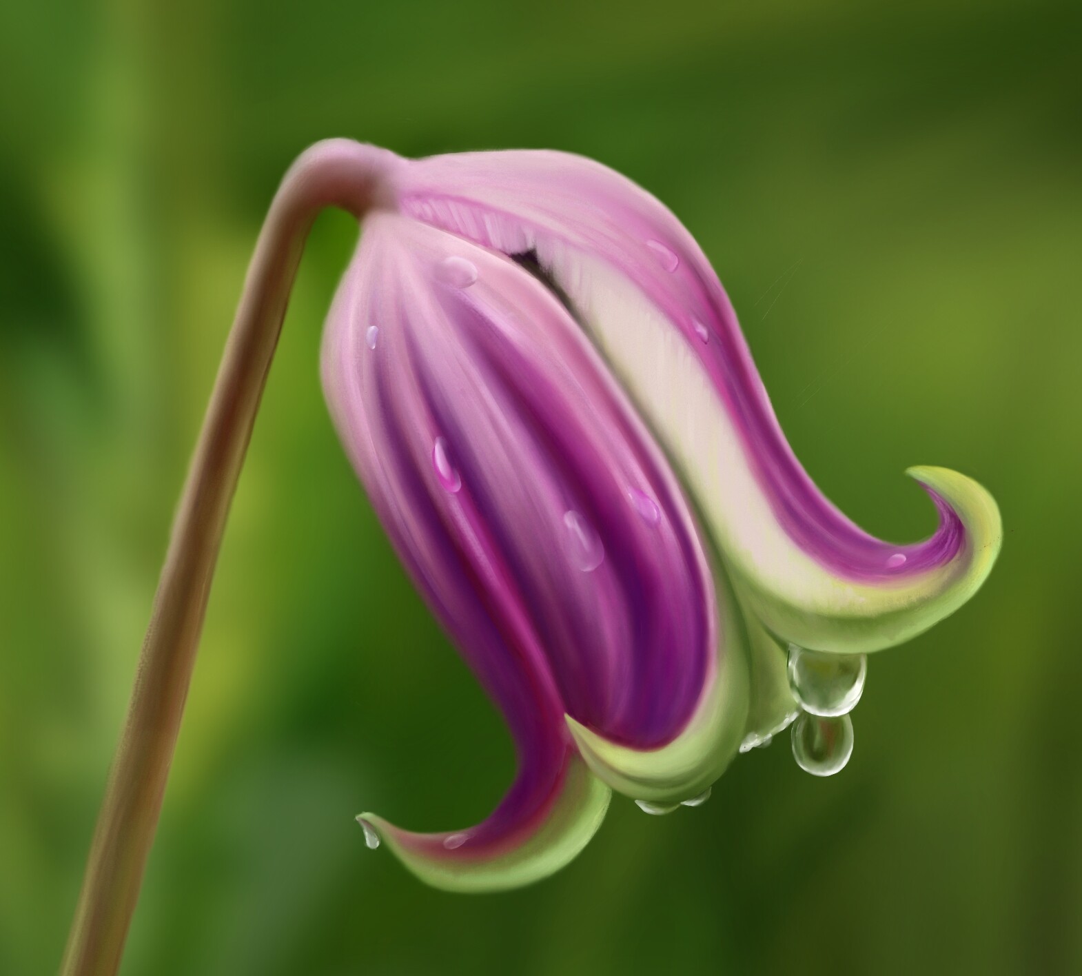 ArtStation - Morning dew