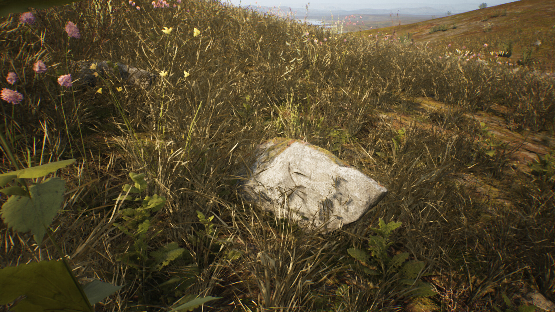 ArtStation - Photorealistic Meadow Unreal Engine