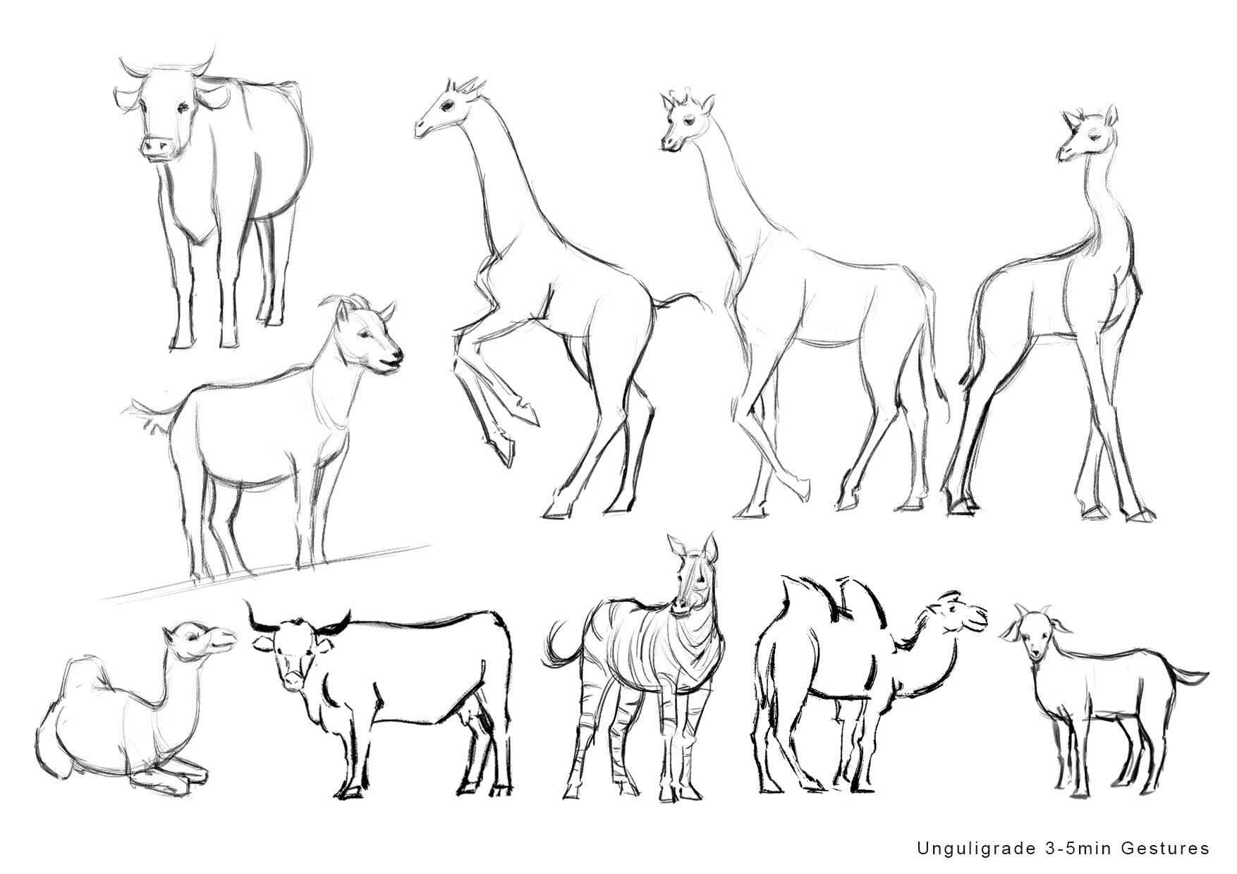 ArtStation - Animal Drawings