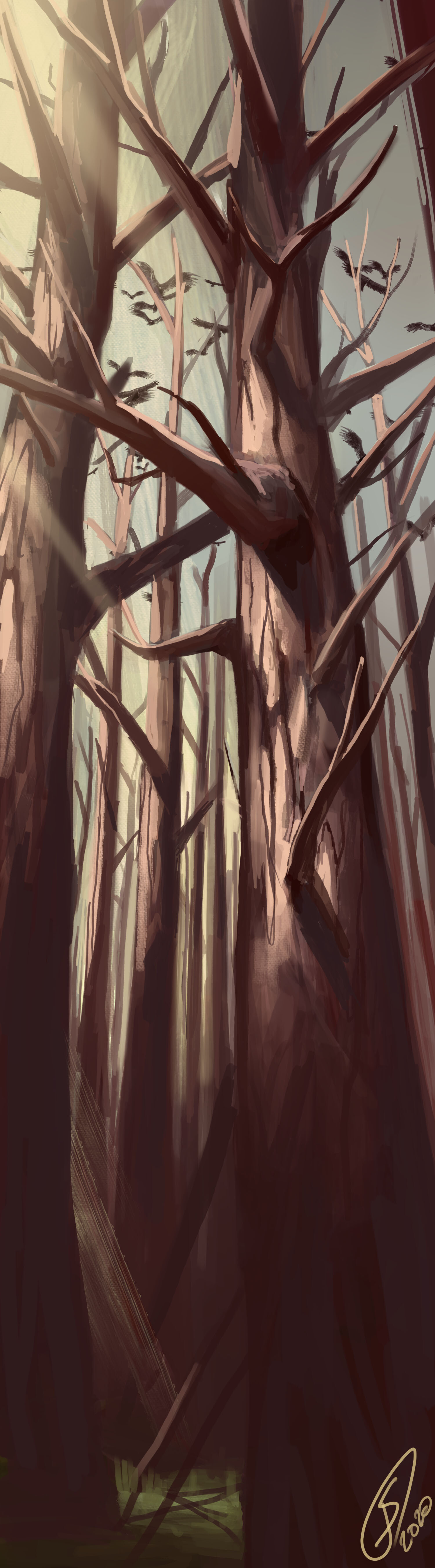 ArtStation - Trees