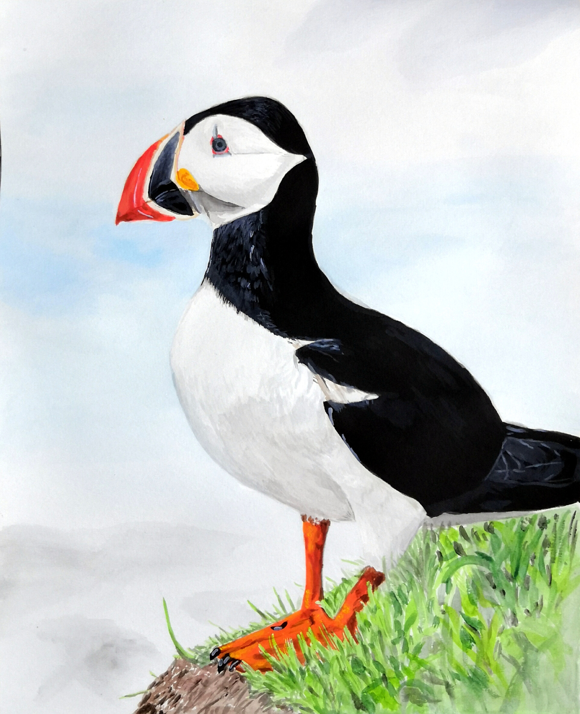 ArtStation - Atlantic puffin