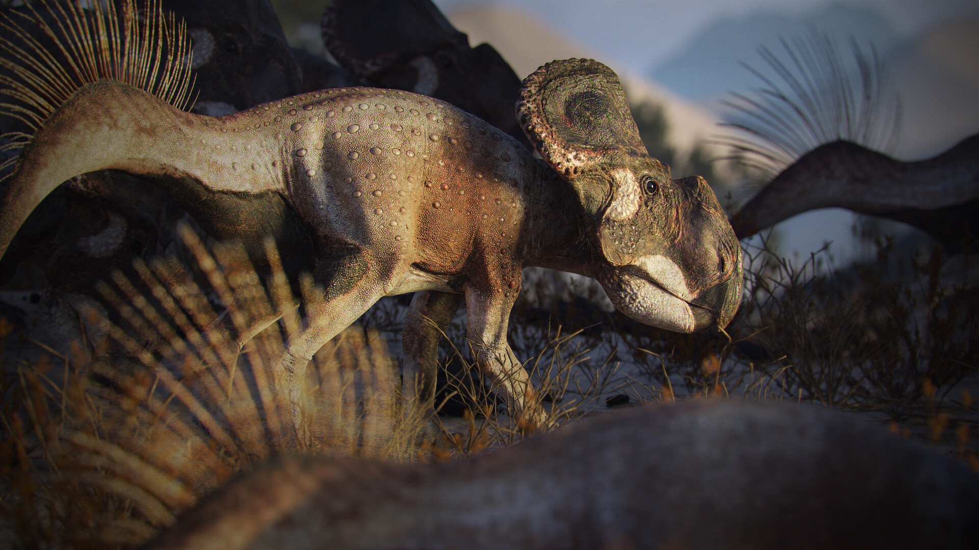 ArtStation - Protoceratops andrewsi