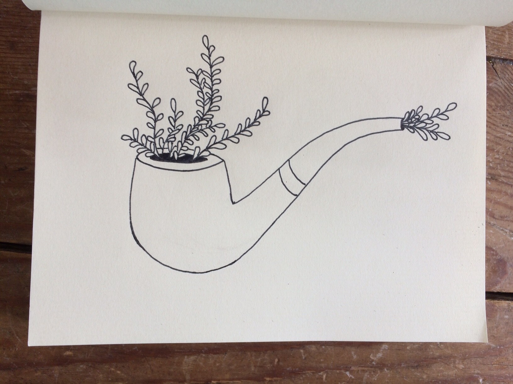 Fred Johnson - Floral