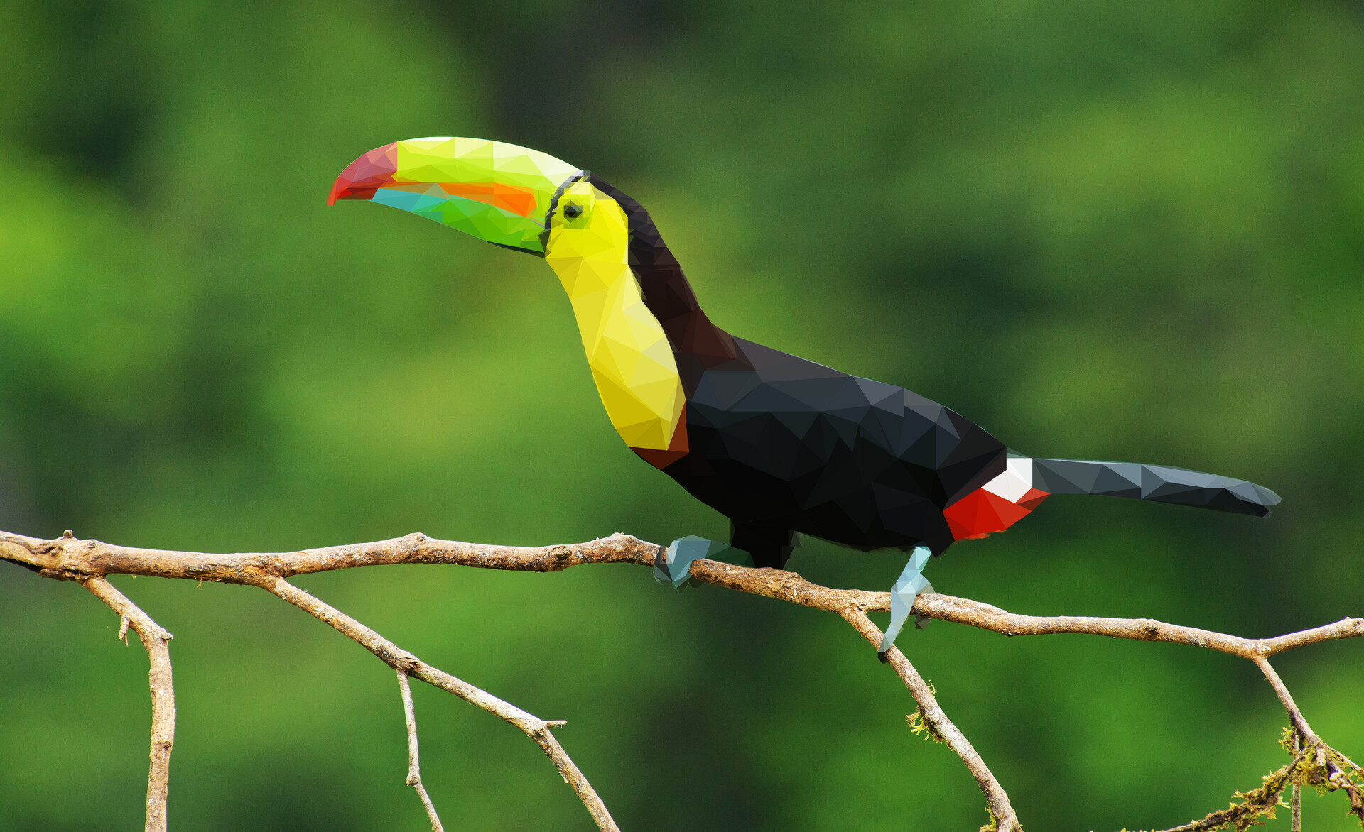 ArtStation - Origami Tucan