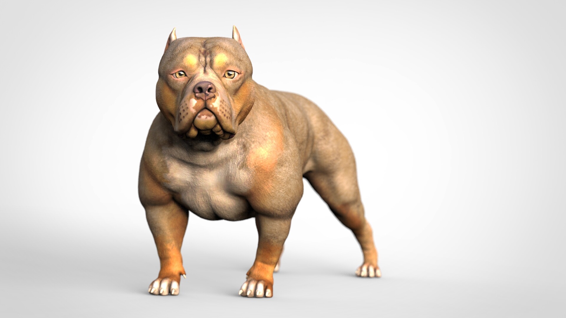 ArtStation - American bully dog
