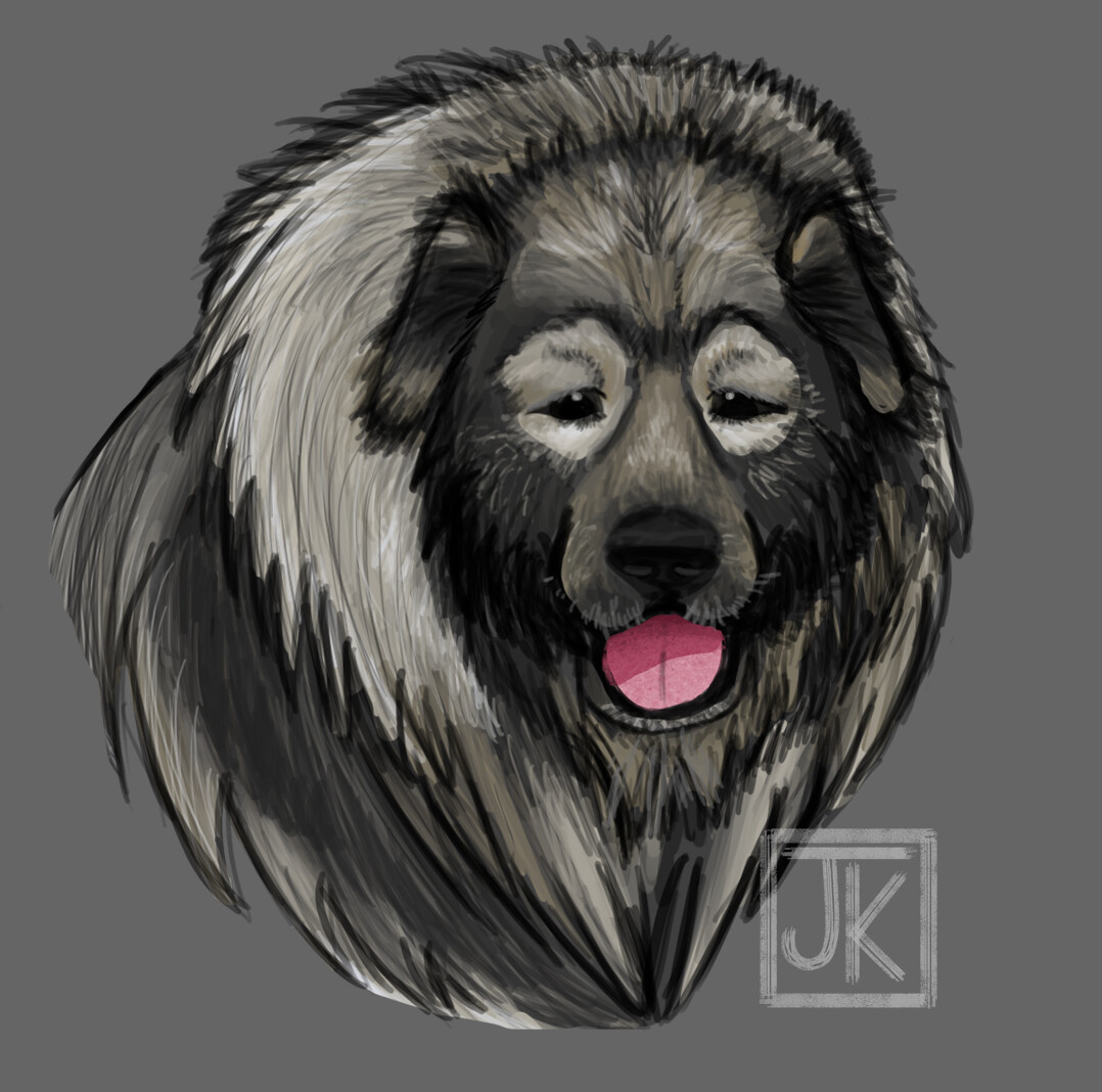 Jamie Knoop - Animal Studies: August - July