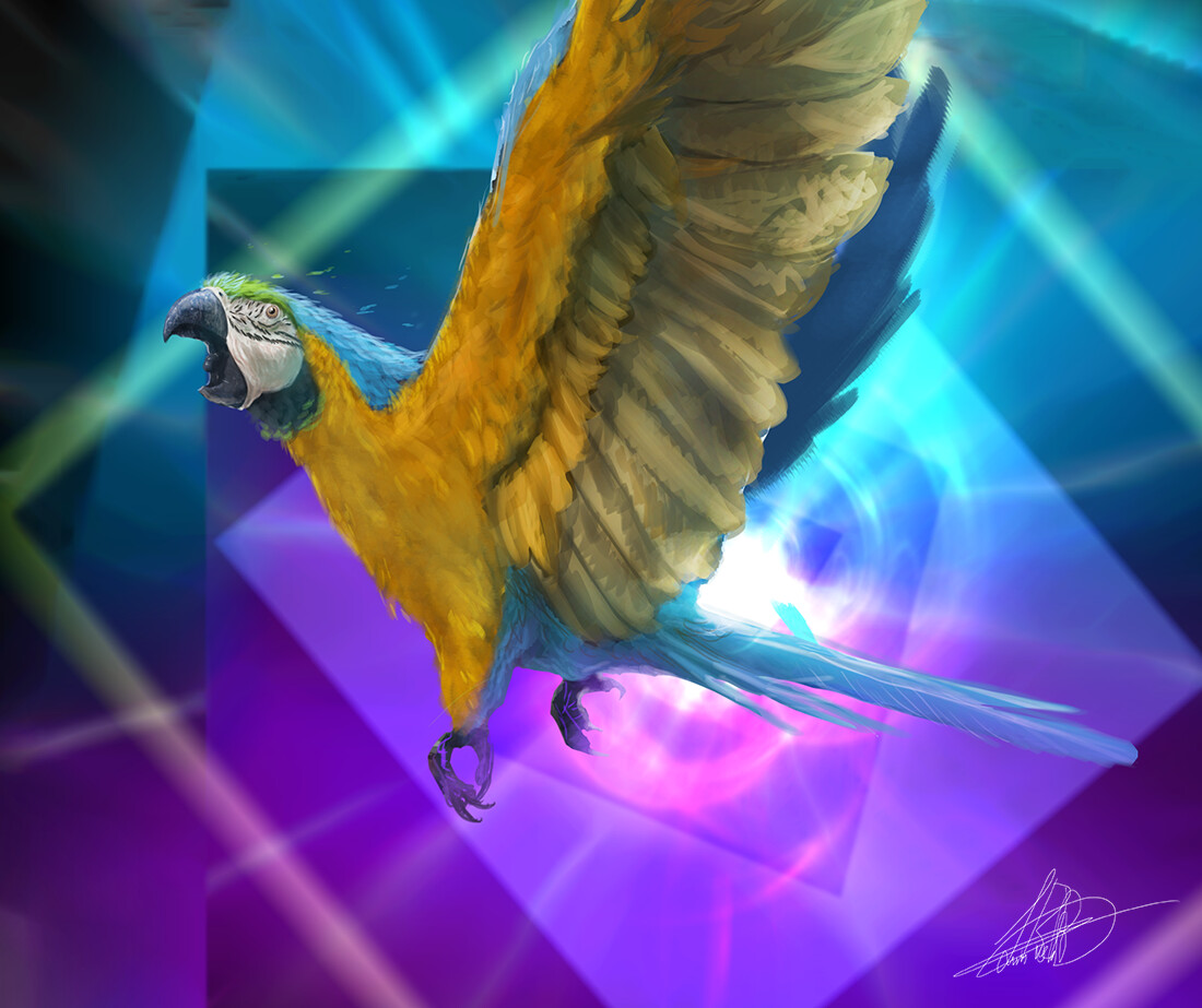 ArtStation - Macaw