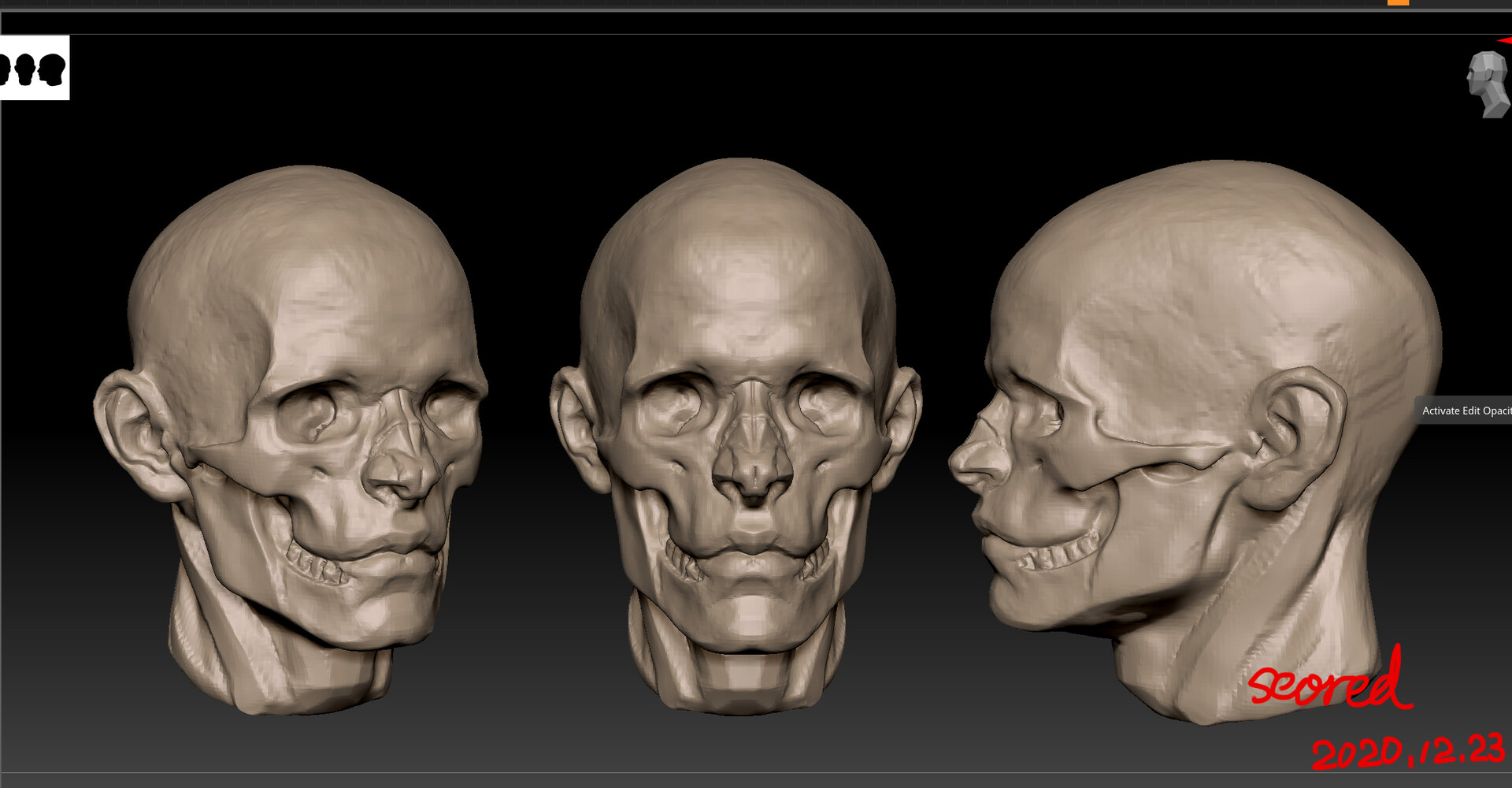 ArtStation - basic excercise skull 2020.12.23