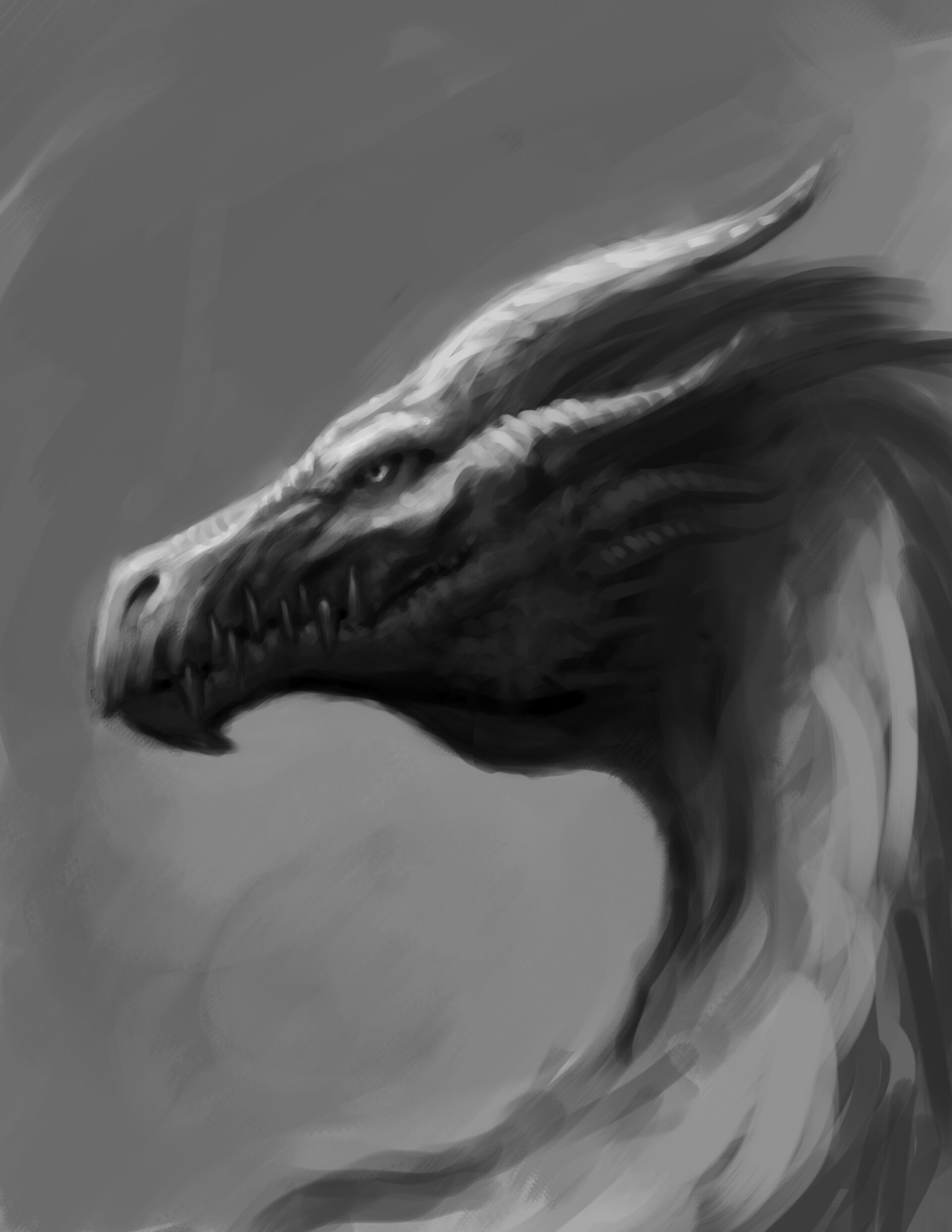 ArtStation - Dragon Sketch