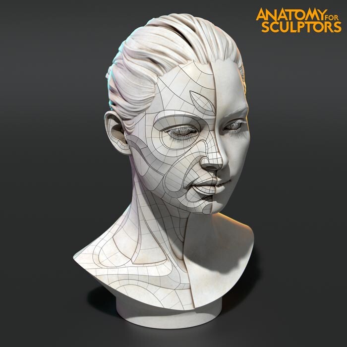 Anatomy For Sculptors - Woman model