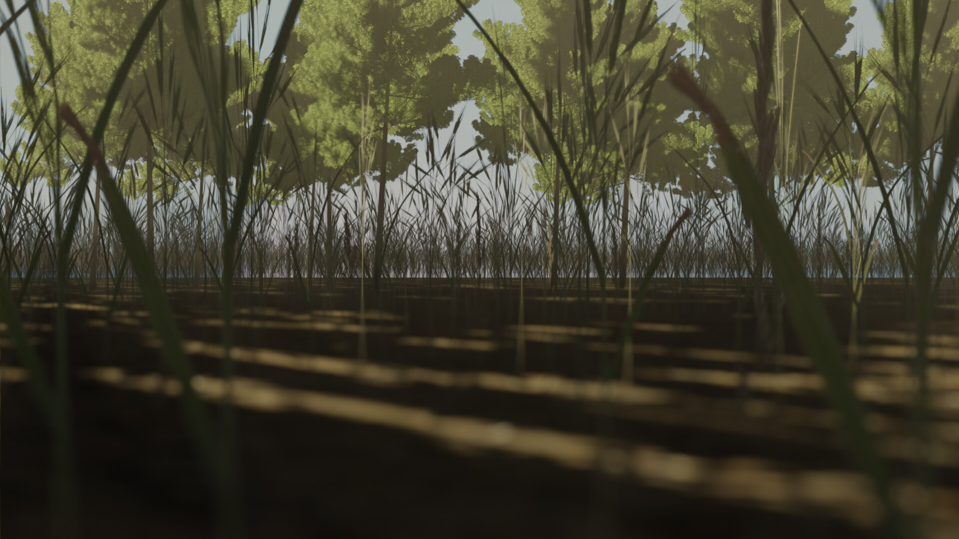 ArtStation - Grass Field