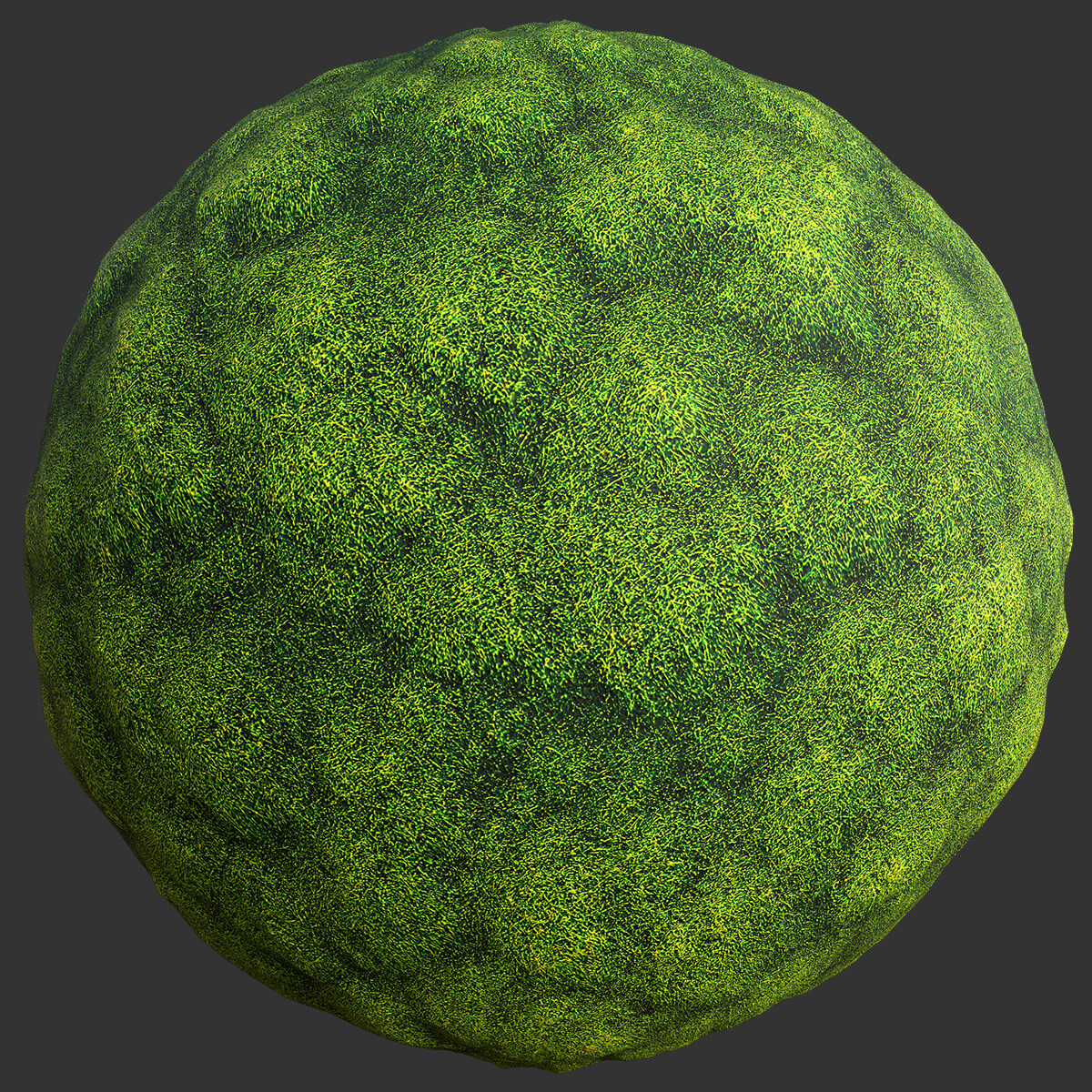 TextureCan - Moss Texture