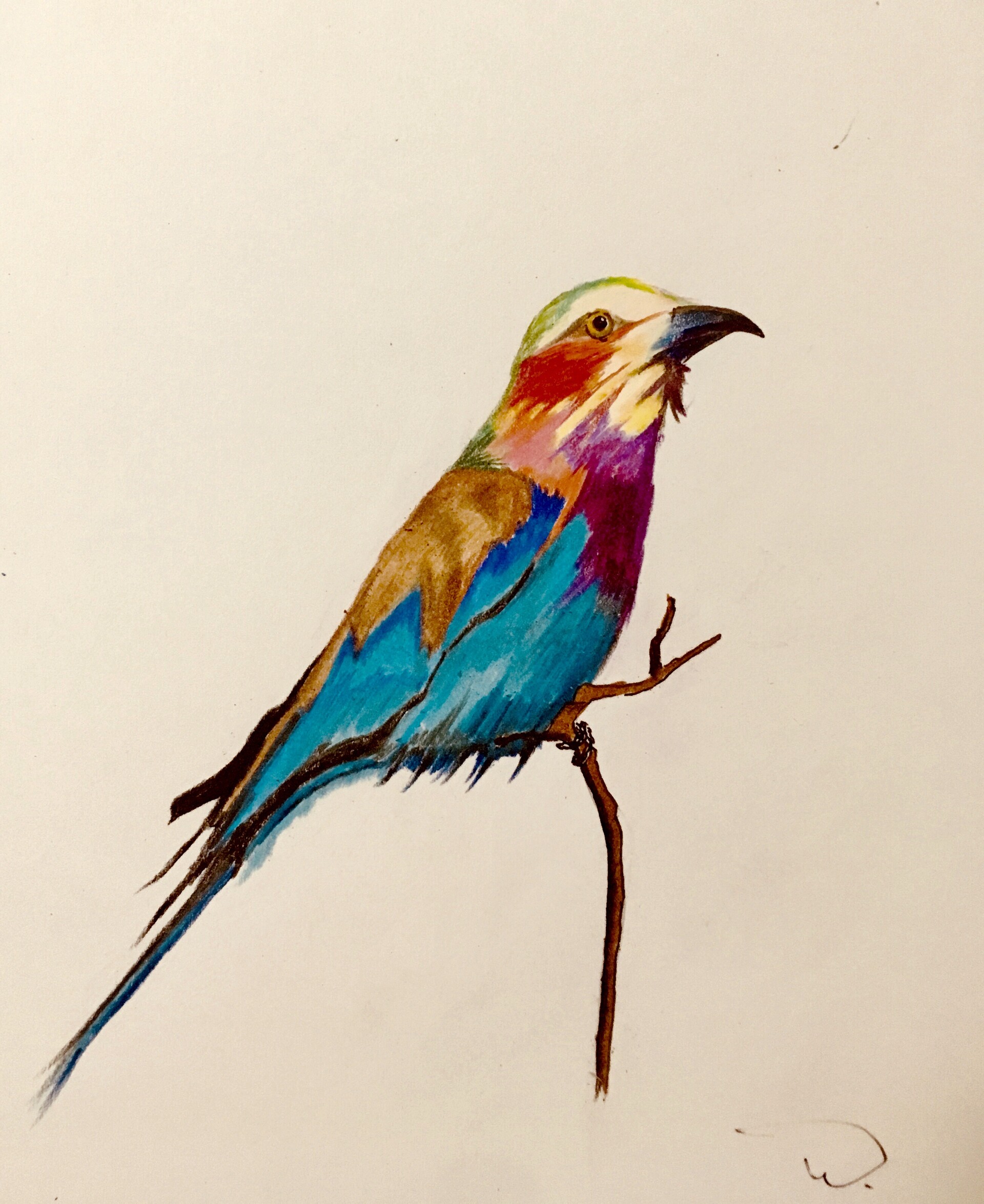 ArtStation - The Lucky Bird