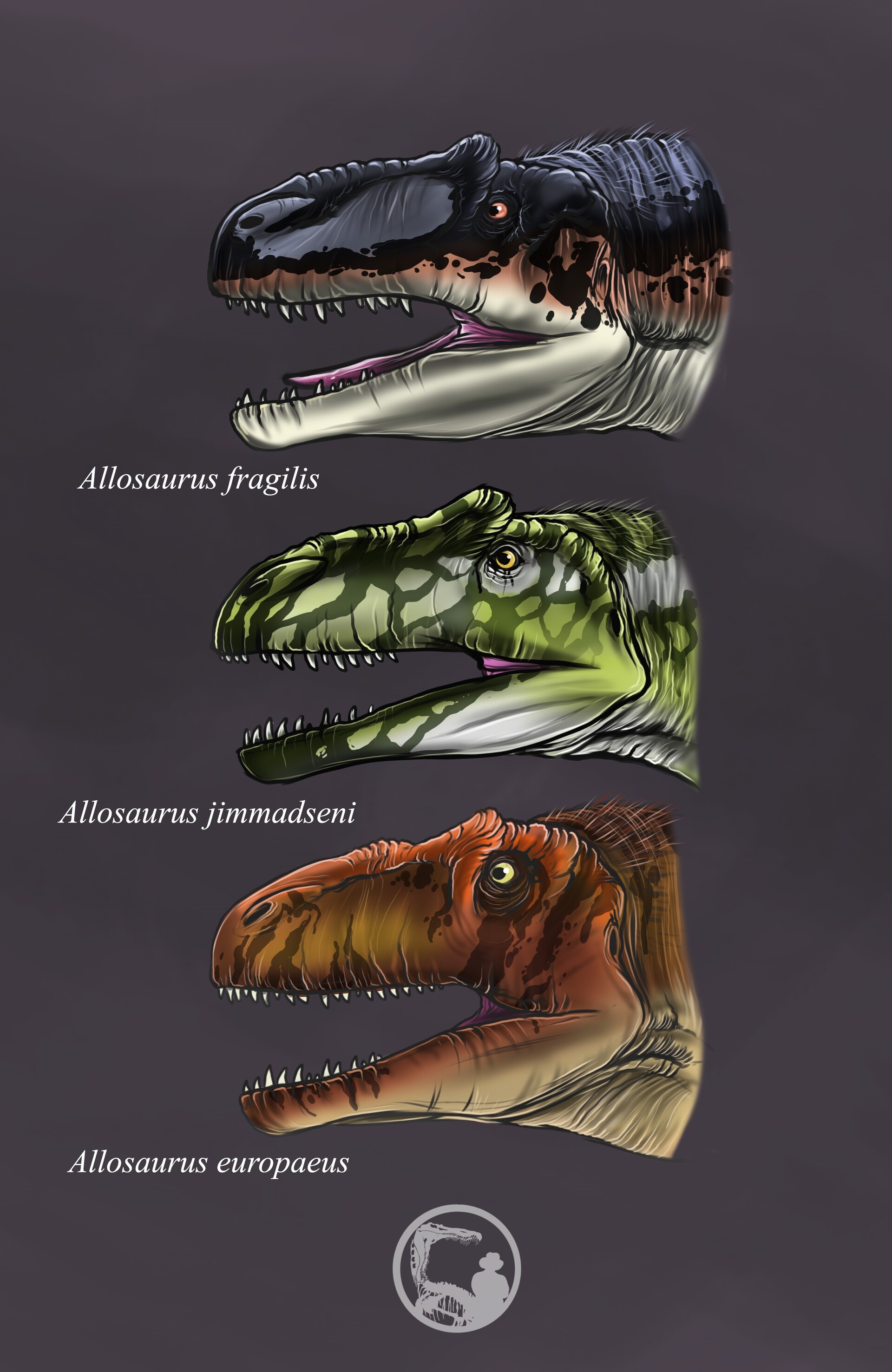 ArtStation - Allosaurus species