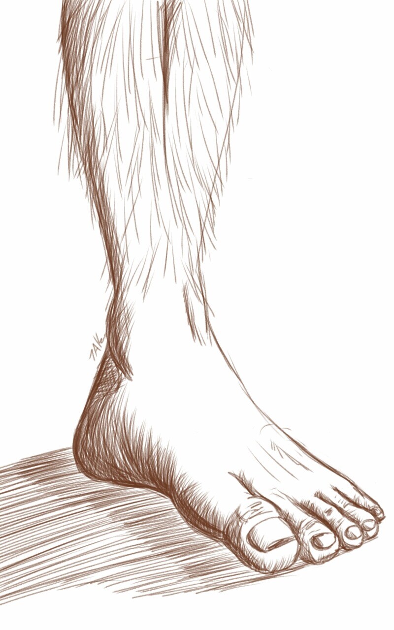 ArtStation - Daily Sketch: Foot